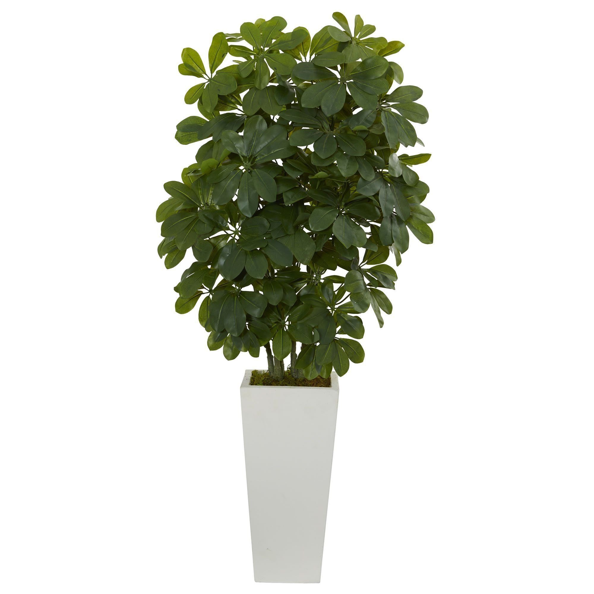 40” Schefflera Artificial Plant in White Vase (Real Touch) | Nearly Natural