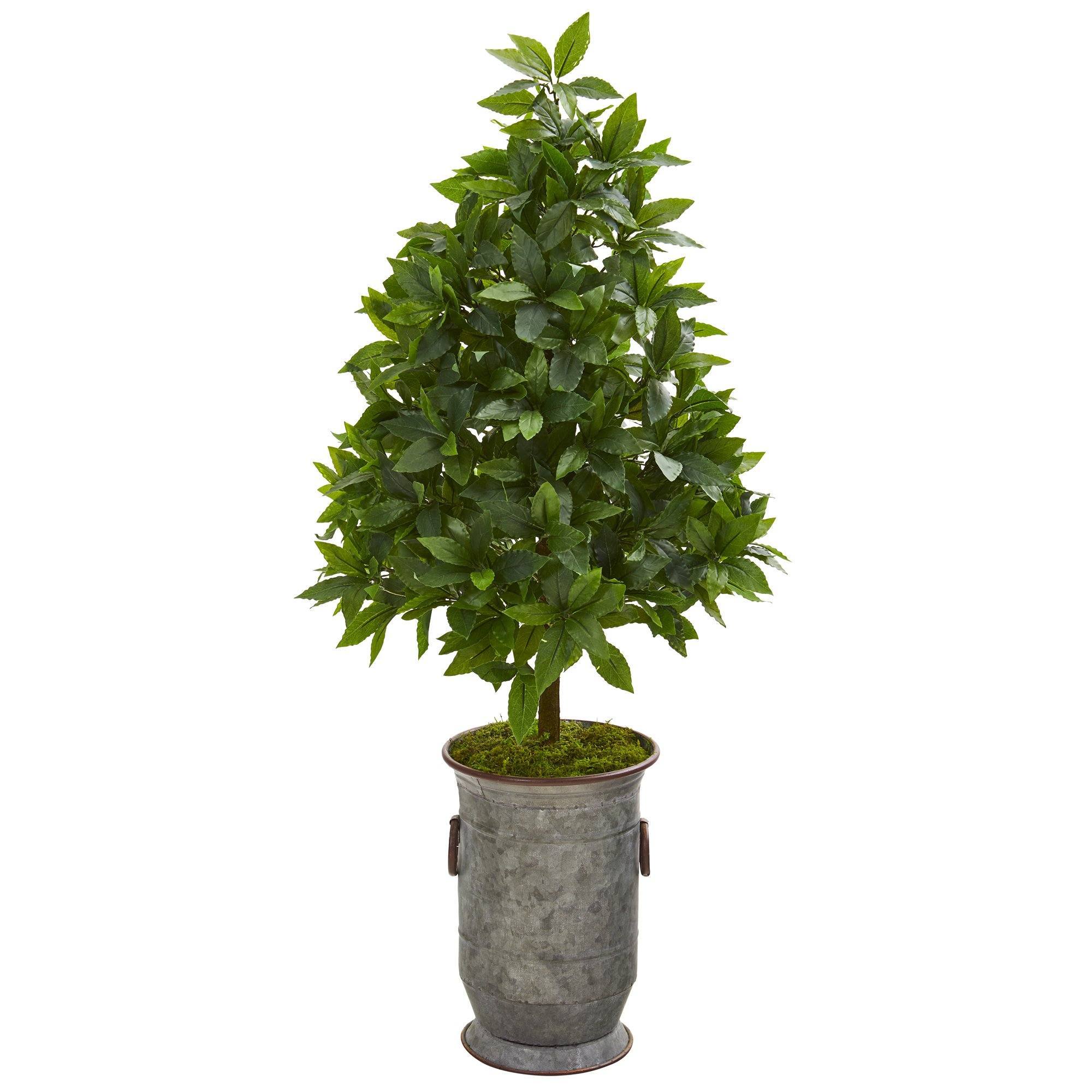 40” Sweet Bay Round Topiary Artificial Tree Thick Shape in Vintage ...