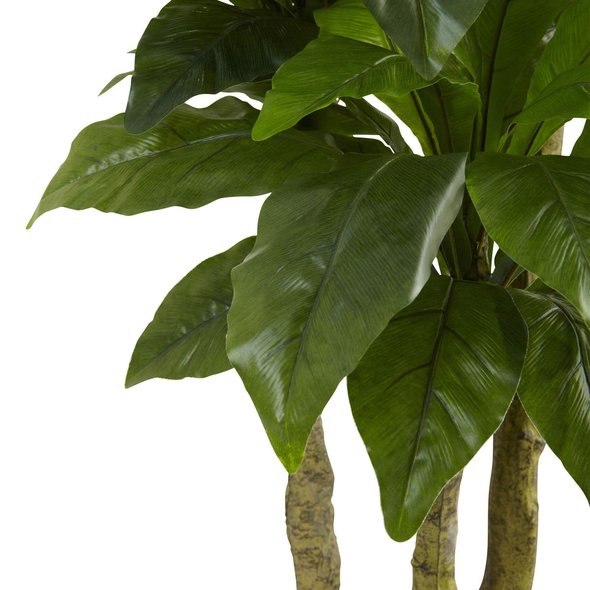 Varieties Of Silk Trees | Artificial Trees | Nearly Natural