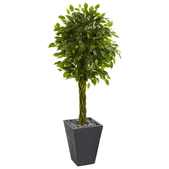 5’ Braided Ficus Artificial Tree in Slate Planter UV Resistant (Indoor ...