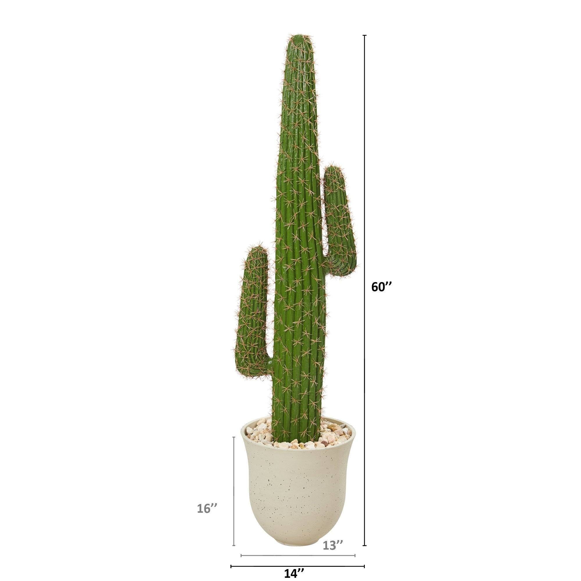 5’ Cactus Artificial Plant in Decorative Urn | Nearly Natural