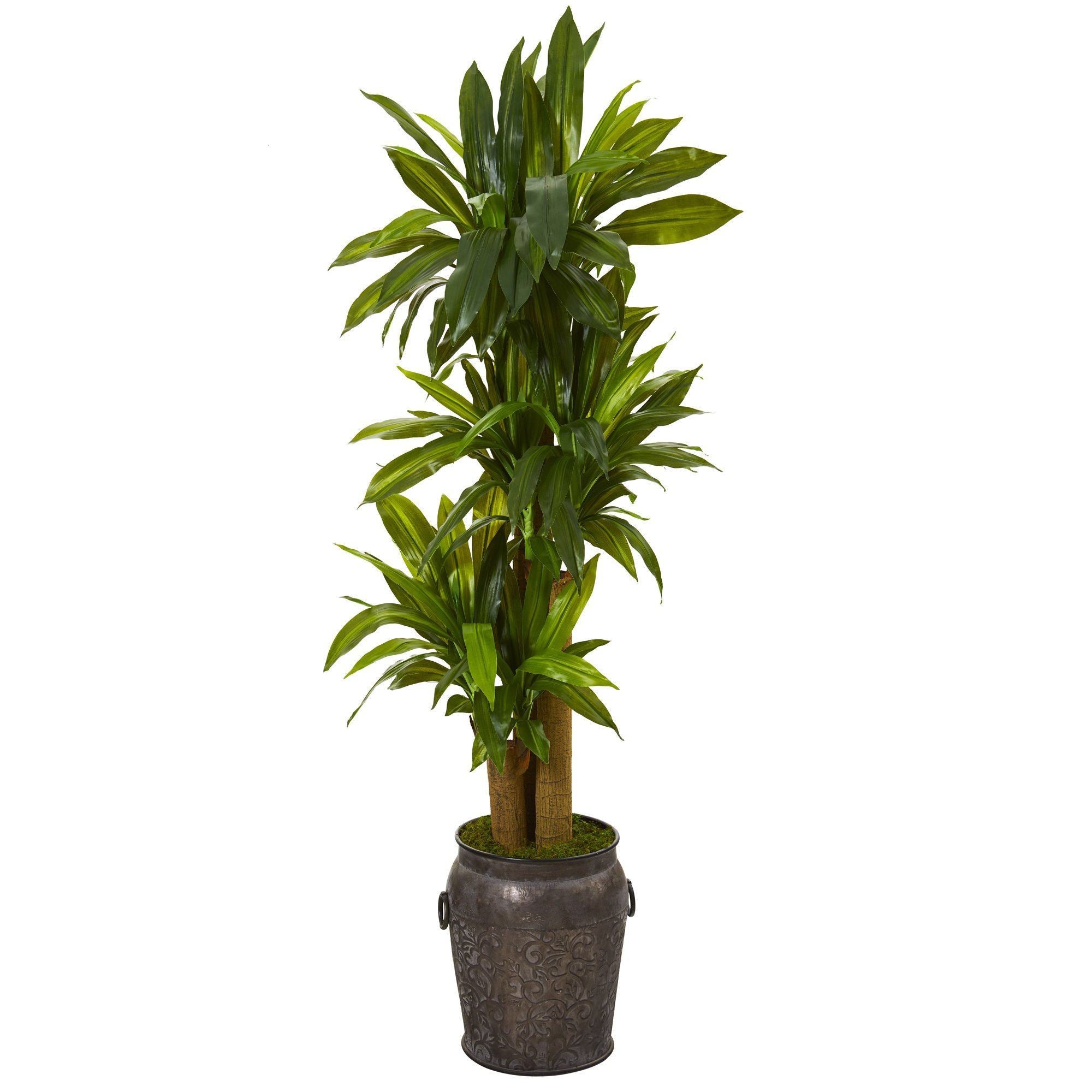 5’ Corn Stalk Dracaena Artificial Plant in Metal Planter (Real Touch ...