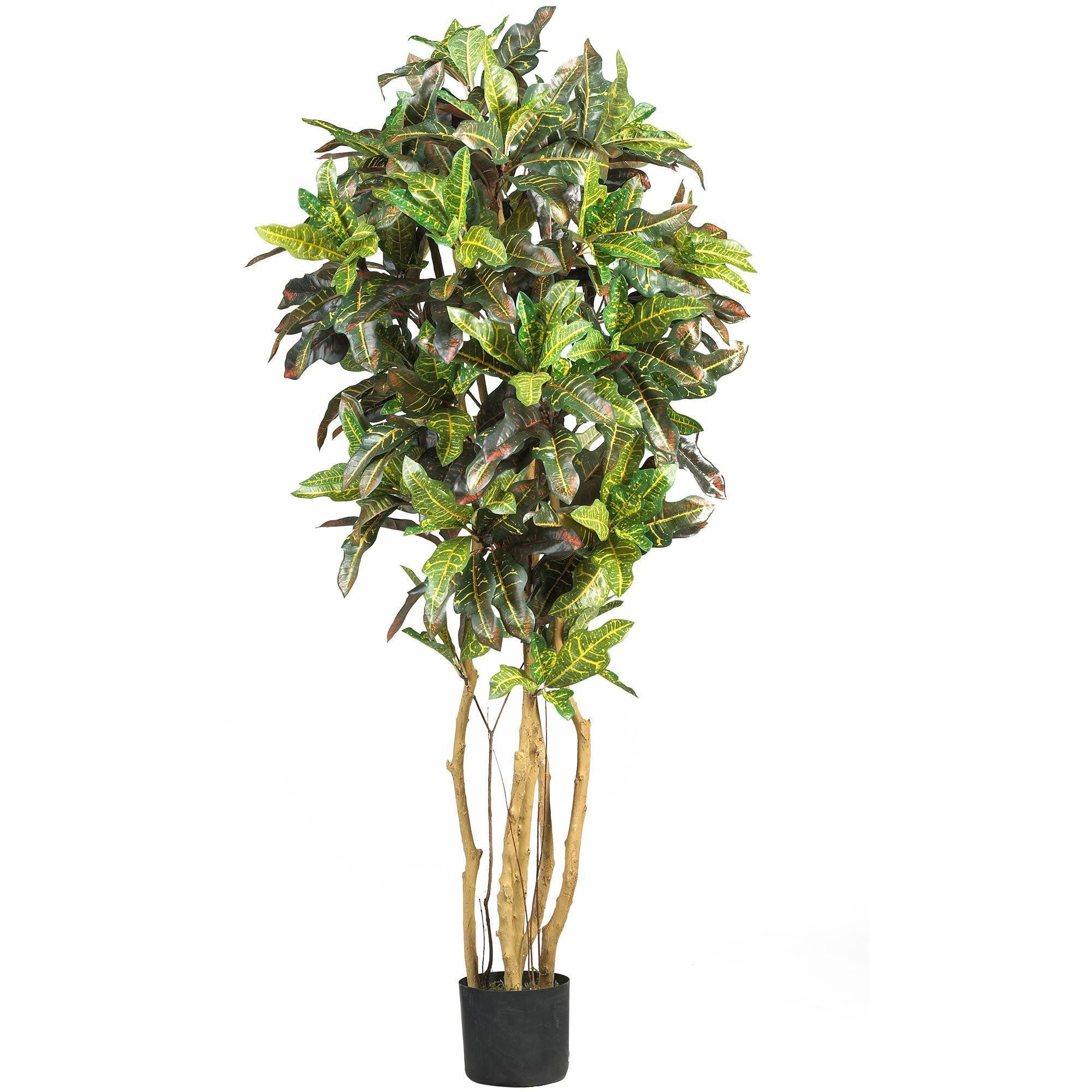 5' Croton Silk Tree | Nearly Natural