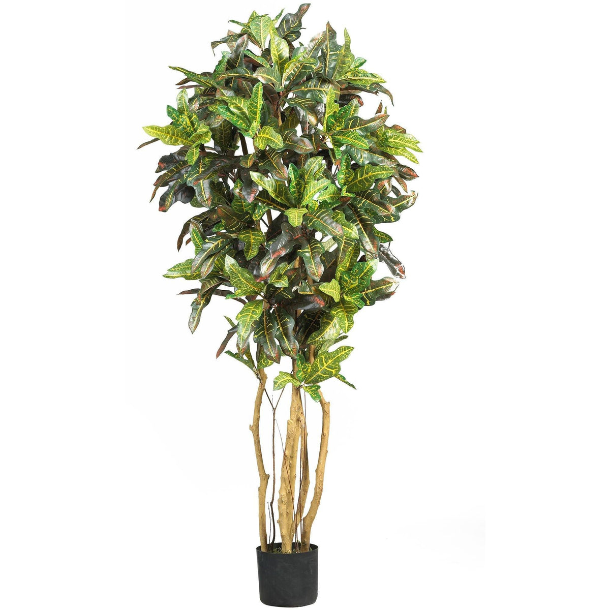 Silk Croton Trees | Artificial Croton Trees | Nearly Natural