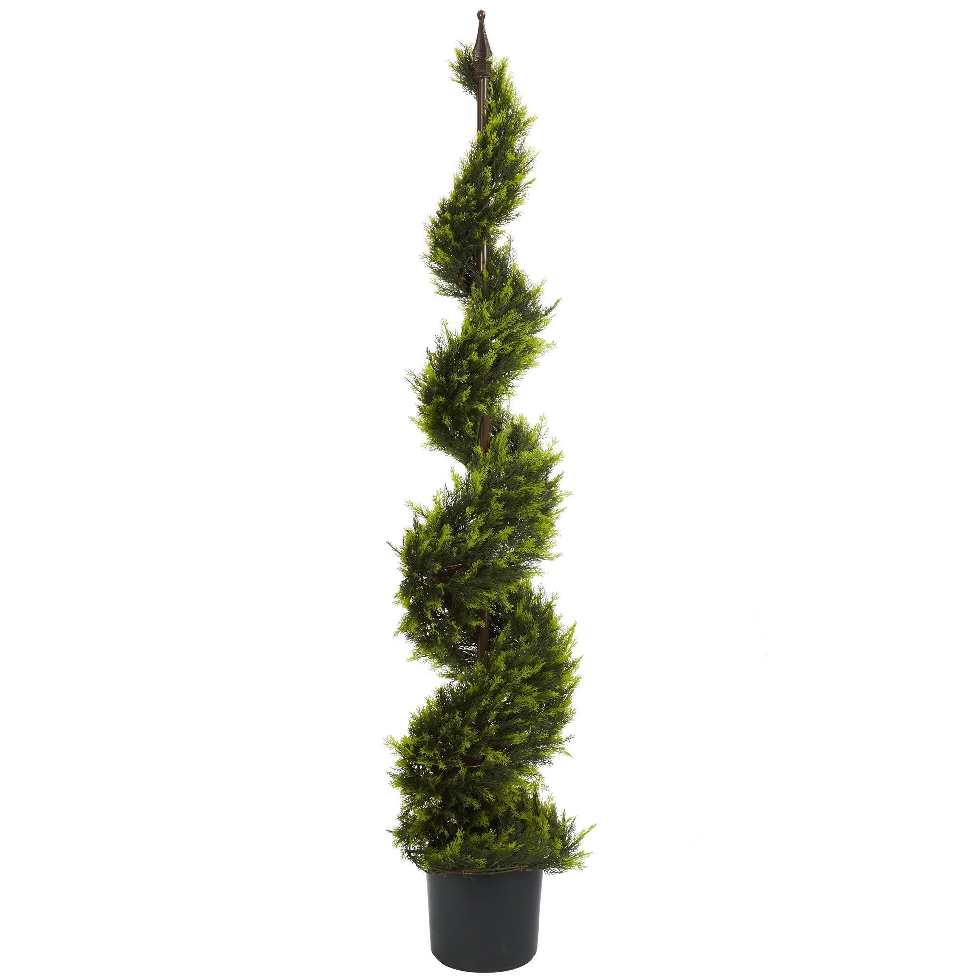 5' Cypress Spiral Tree | Nearly Natural