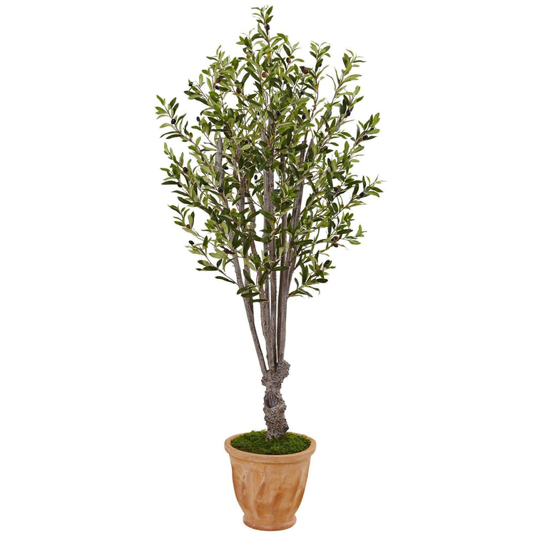 5’ Olive Tree in Terracotta Planter | Nearly Natural