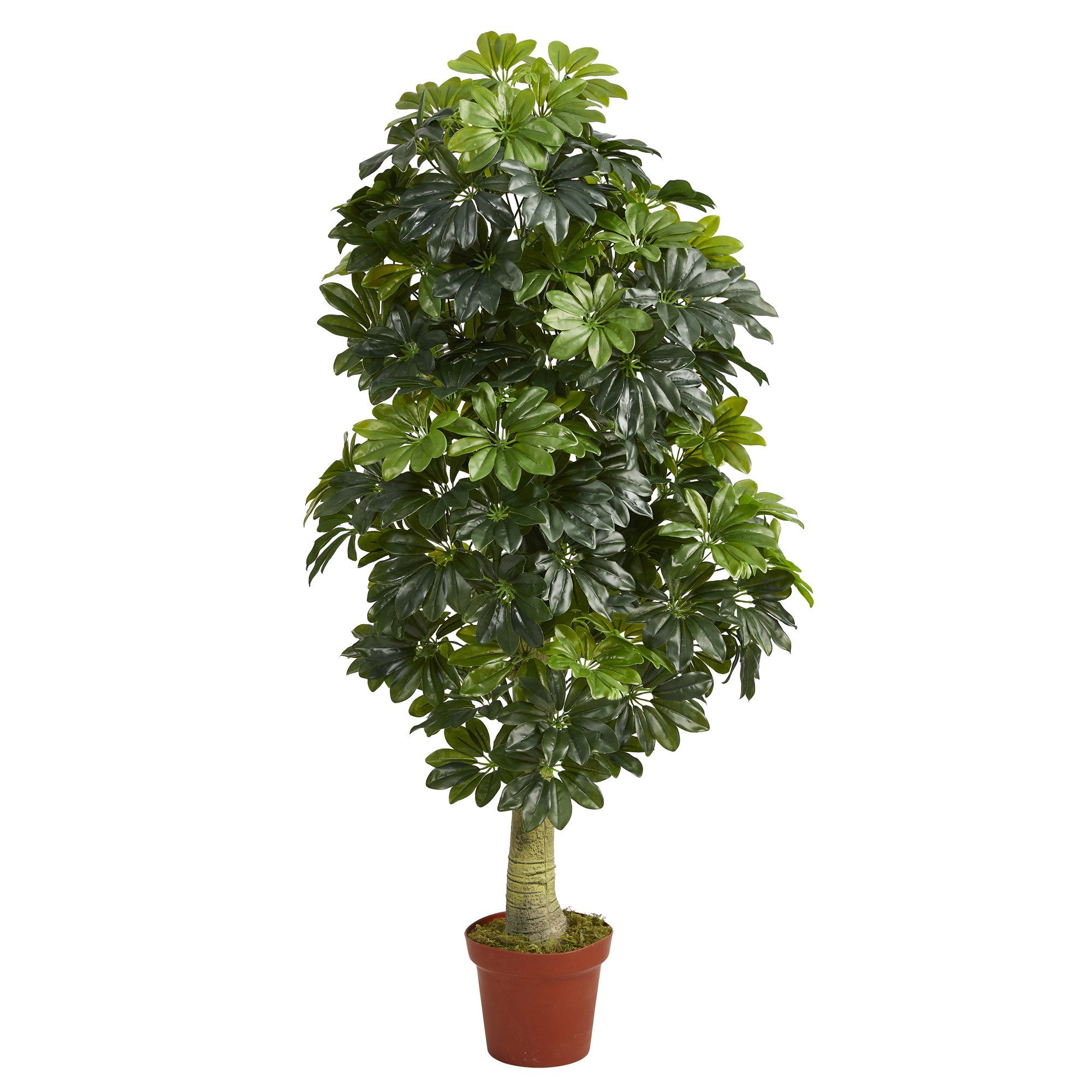 5' Schefflera Artificial Tree (Real Touch) | Nearly Natural