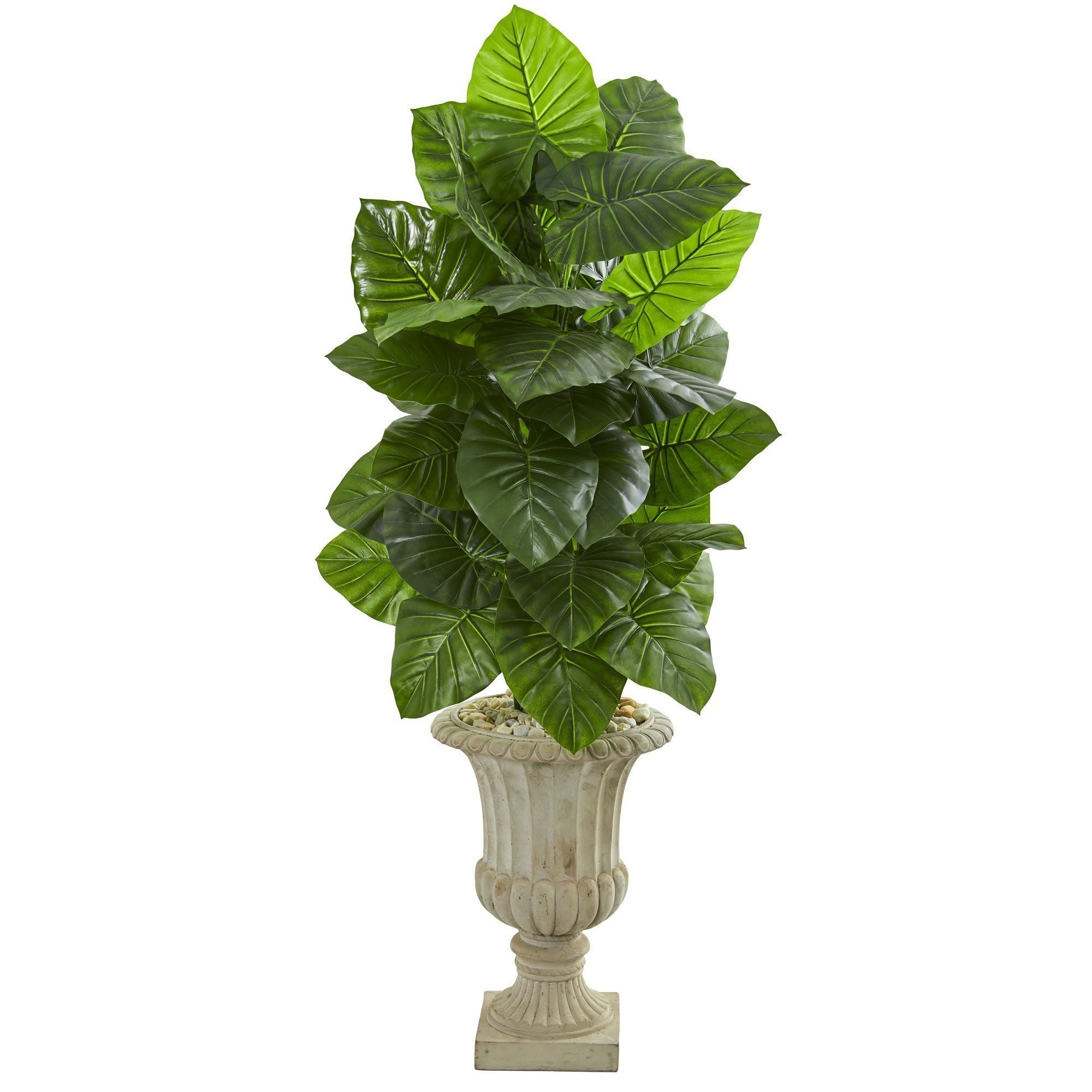 5’ Taro Artificial Plant in Sand Finished Urn | Nearly Natural