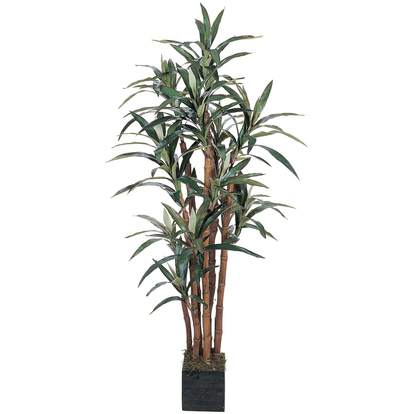 5' Yucca Silk Tree | Nearly Natural