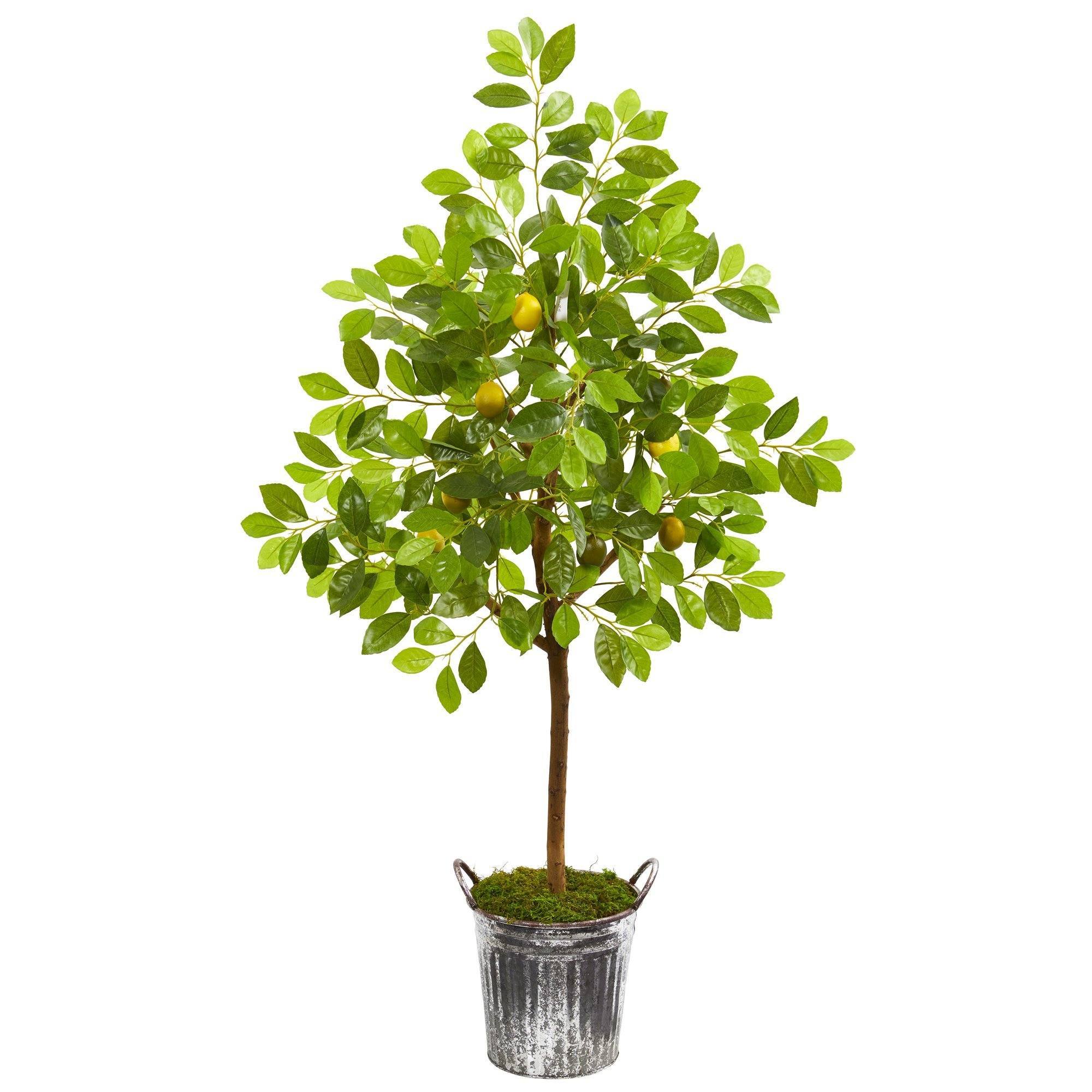 54” Lemon Artificial Tree in Vintage Metal Bucket | Nearly Natural