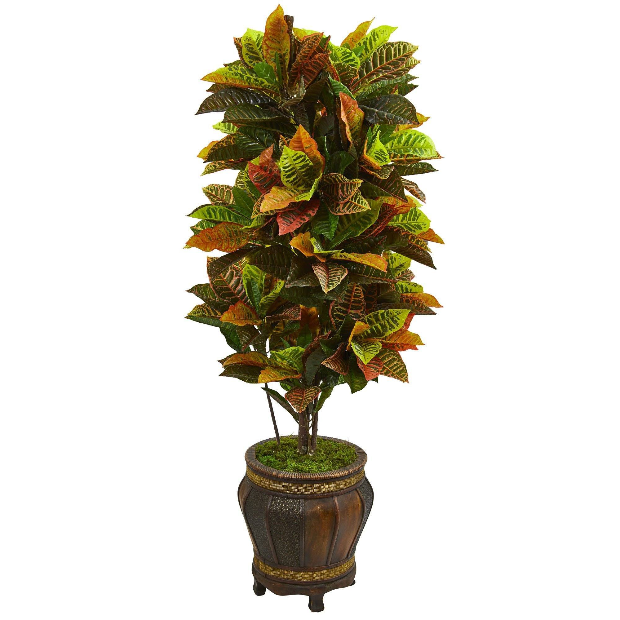 5.5’ Croton Artificial Plant in Decorative Planter (Real Touch ...