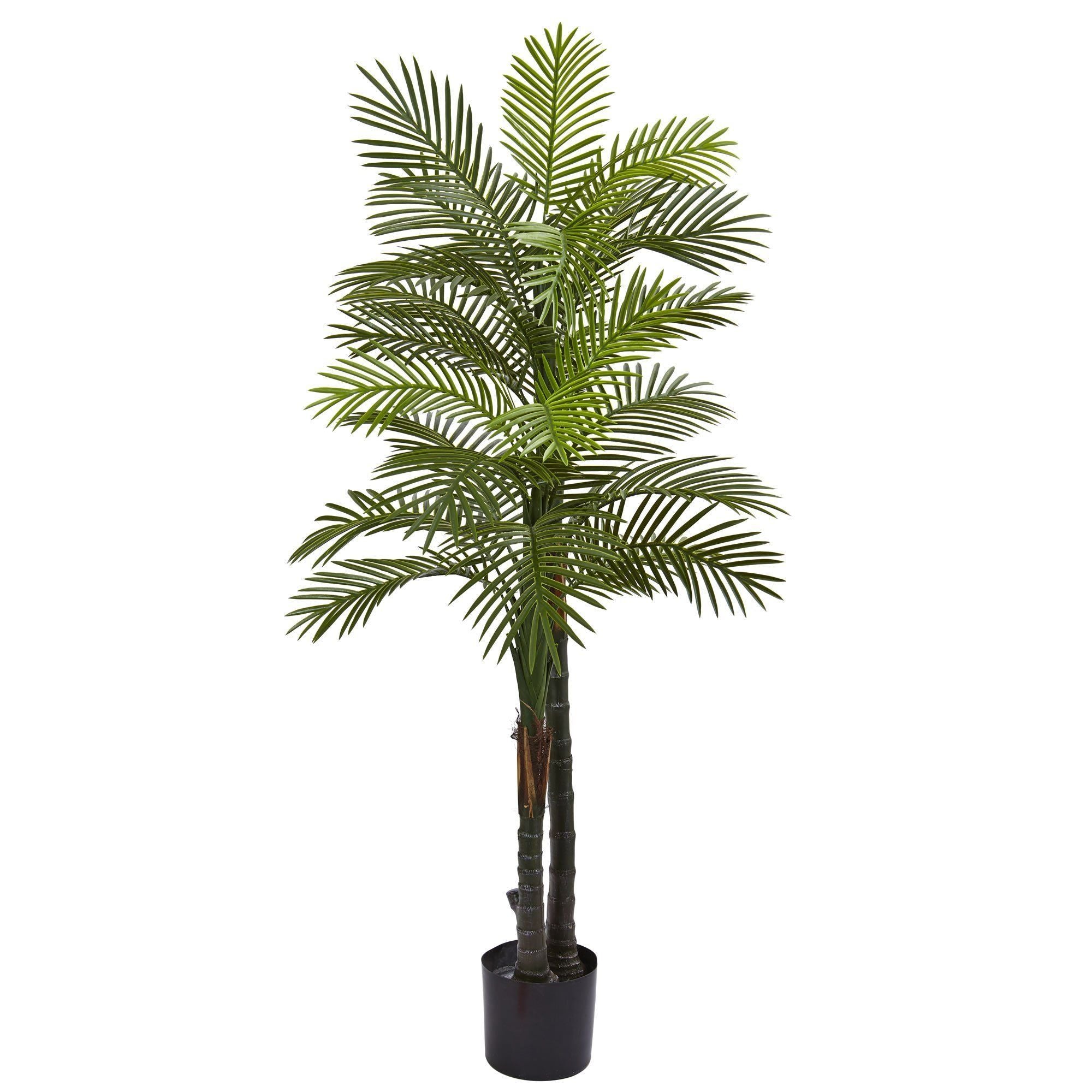 5.5’ Double Robellini Palm Tree UV Resistant (Indoor/Outdoor) | Nearly ...