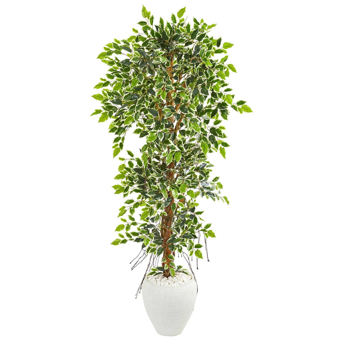 5.5’ Elegant Ficus Artificial Tree in White Planter | Nearly Natural