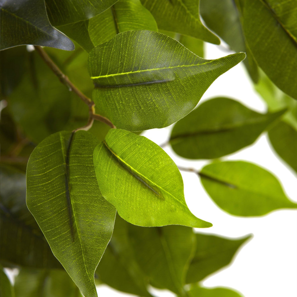 Artificial Ficus Trees | Nearly Natural