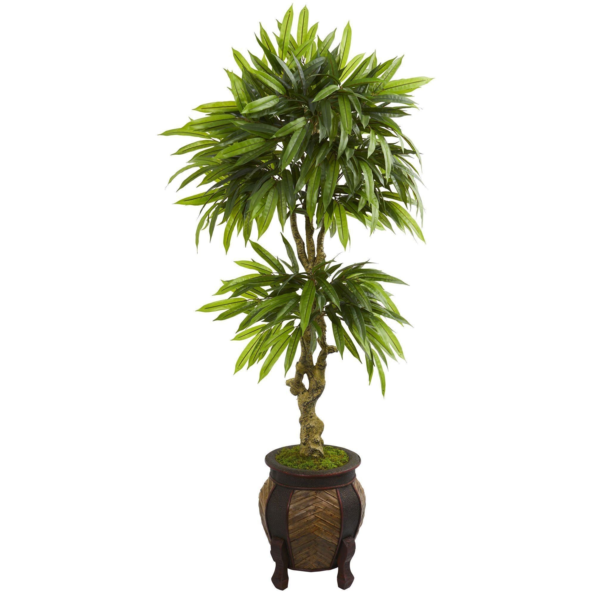 5.5’ Mango Artificial Tree in Decorative Planter | Nearly Natural