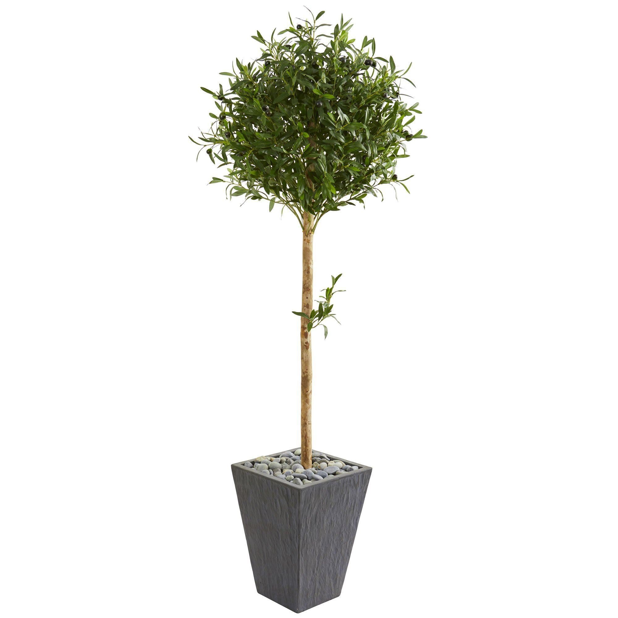 5.5’ Olive Topiary Artificial Tree in Slate Planter | Nearly Natural