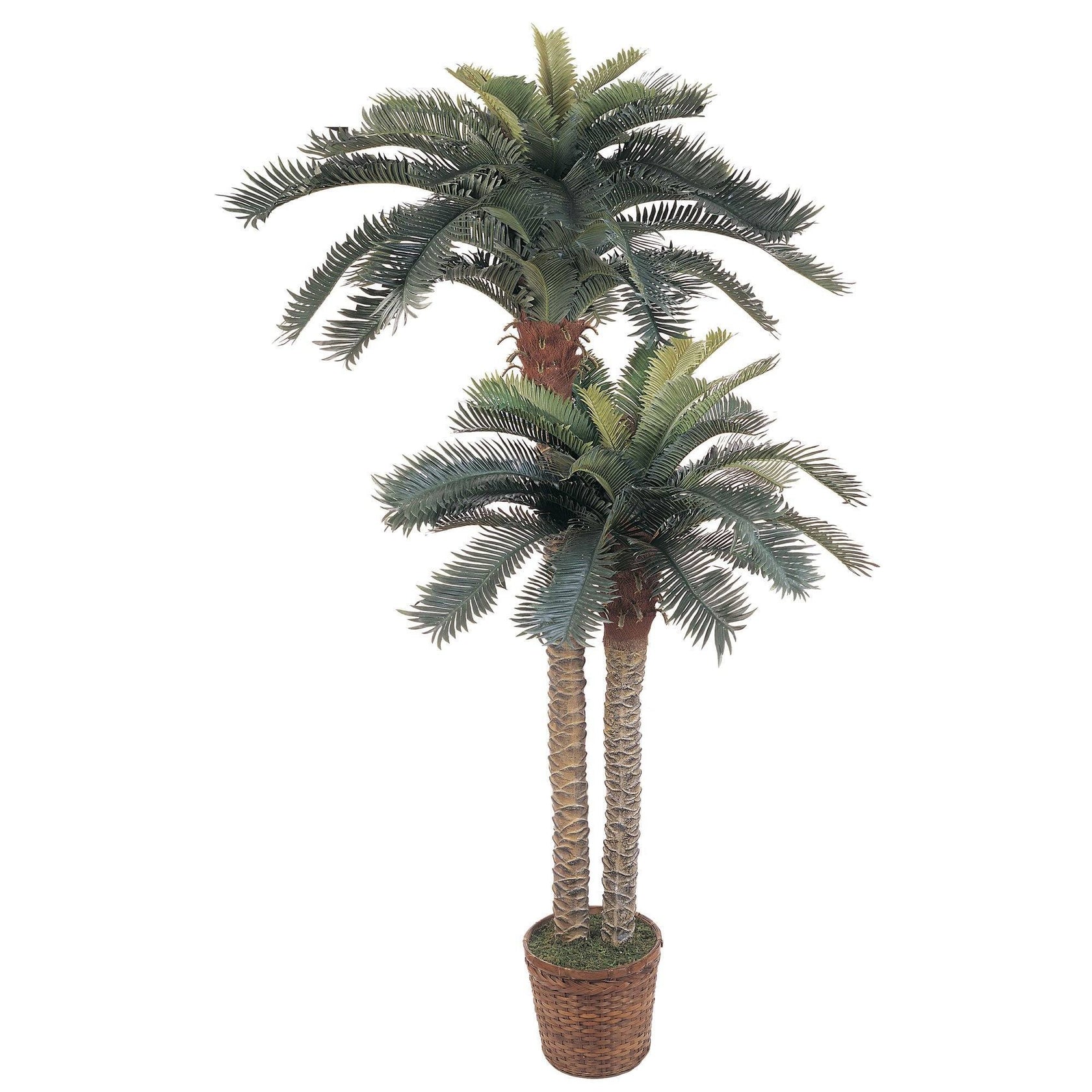 6' & 4' Sago Palm Double Potted Silk Tree | Nearly Natural