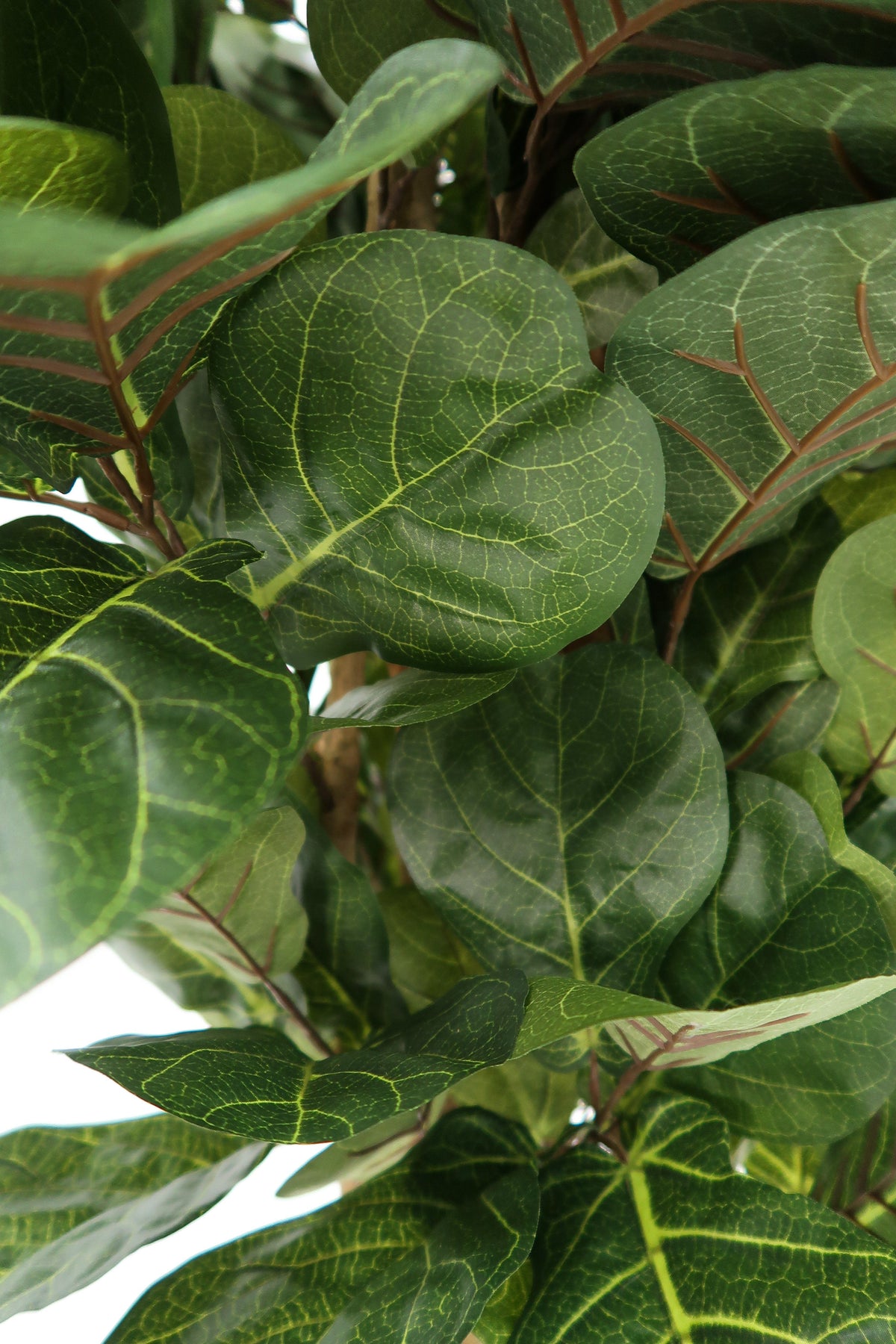 Artificial Fiddle Leaf Fig Trees Fake Fiddle Leaf Fig Nearly Natural artificial-fiddle-leaf-fig-trees-fake-fiddle-leaf-fig-nearly-natural
