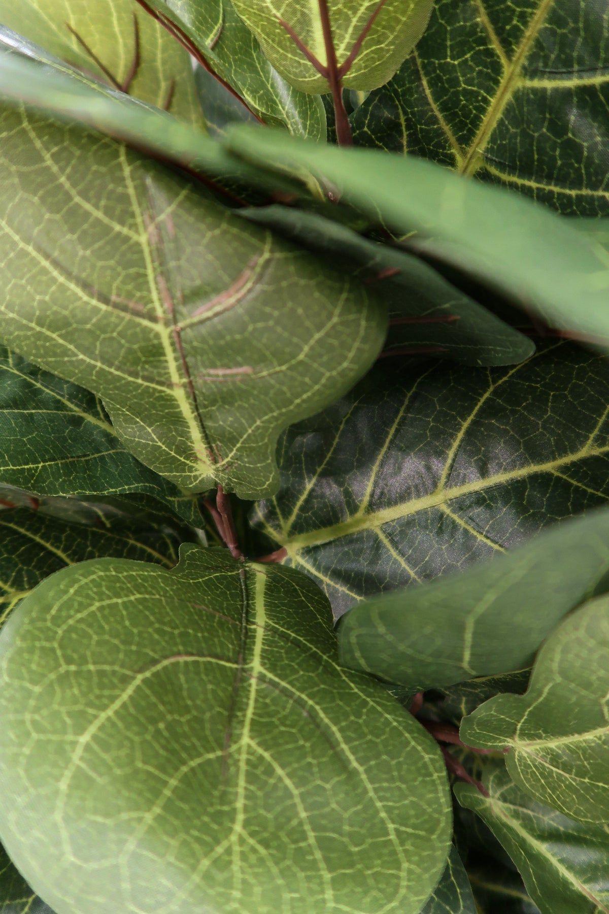 Artificial Fiddle Leaf Fig Trees Fake Fiddle Leaf Fig Nearly Natural artificial-fiddle-leaf-fig-trees-fake-fiddle-leaf-fig-nearly-natural