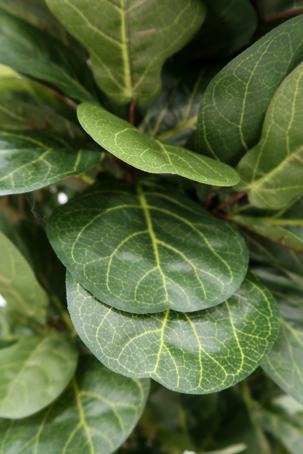 Artificial Fiddle Leaf Fig Trees Fake Fiddle Leaf Fig Nearly Natural artificial-fiddle-leaf-fig-trees-fake-fiddle-leaf-fig-nearly-natural