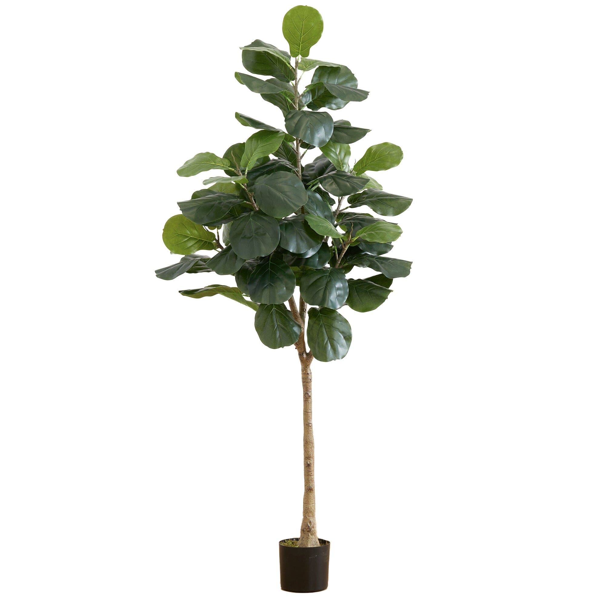 6’ Artificial Fiddle Leaf Tree | Nearly Natural