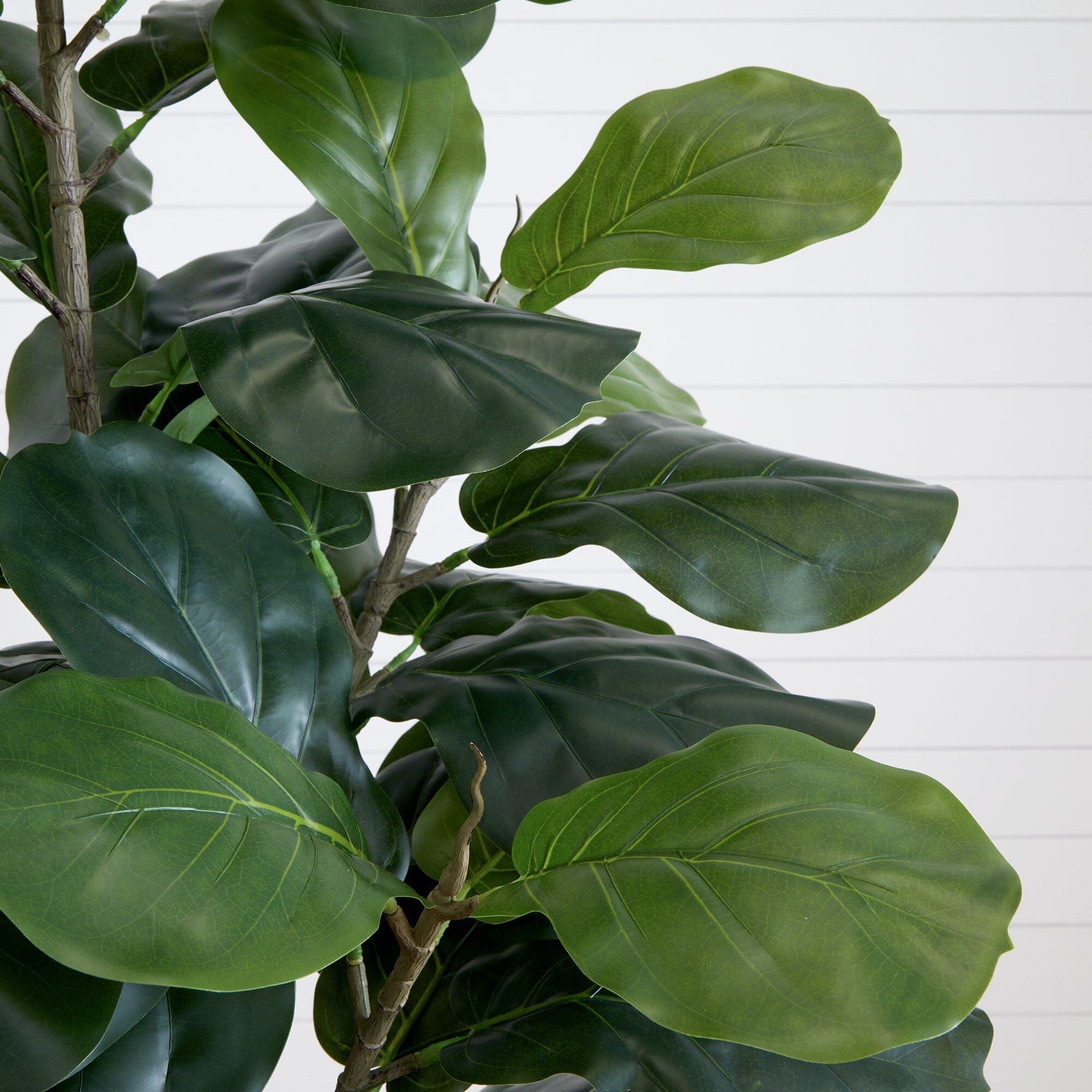 6’ Artificial Fiddle Leaf Tree | Nearly Natural