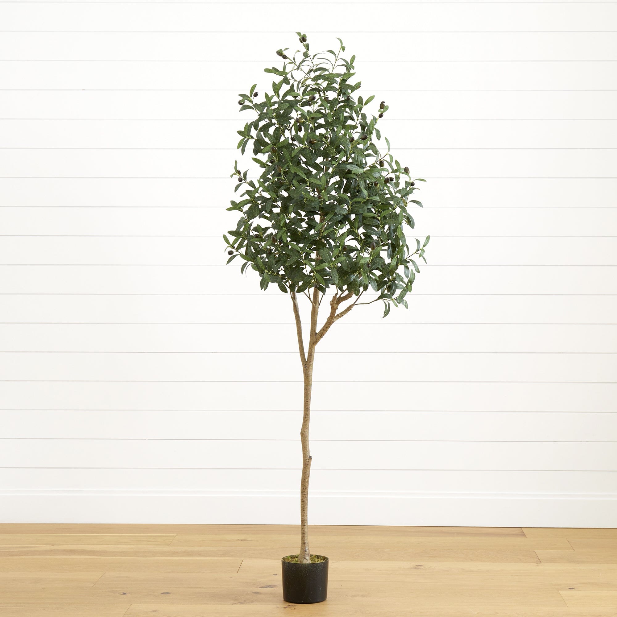 6’ Artificial Olive Tree | Nearly Natural