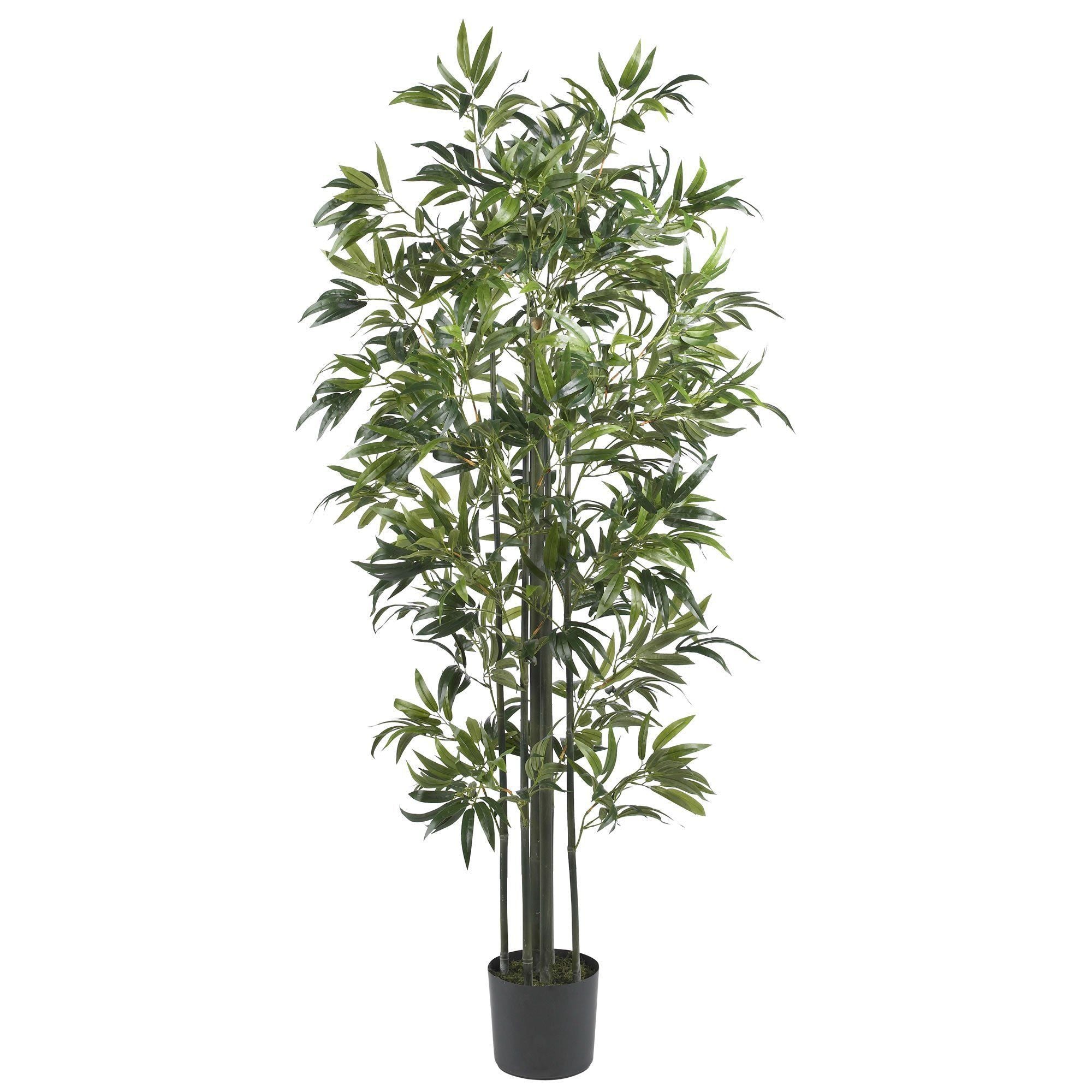 6' Bamboo Silk Tree (Green Trunks) | Nearly Natural