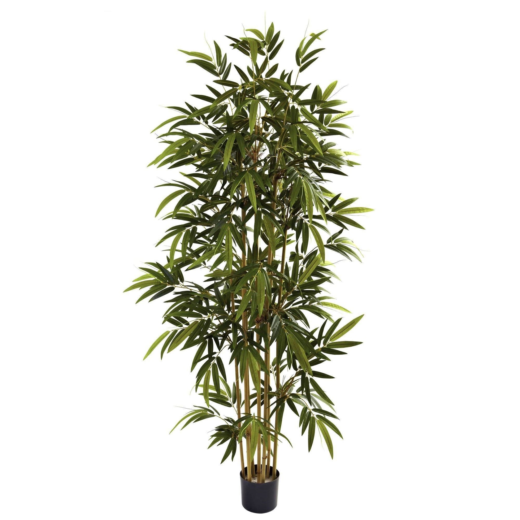 6' Bamboo Tree | Nearly Natural