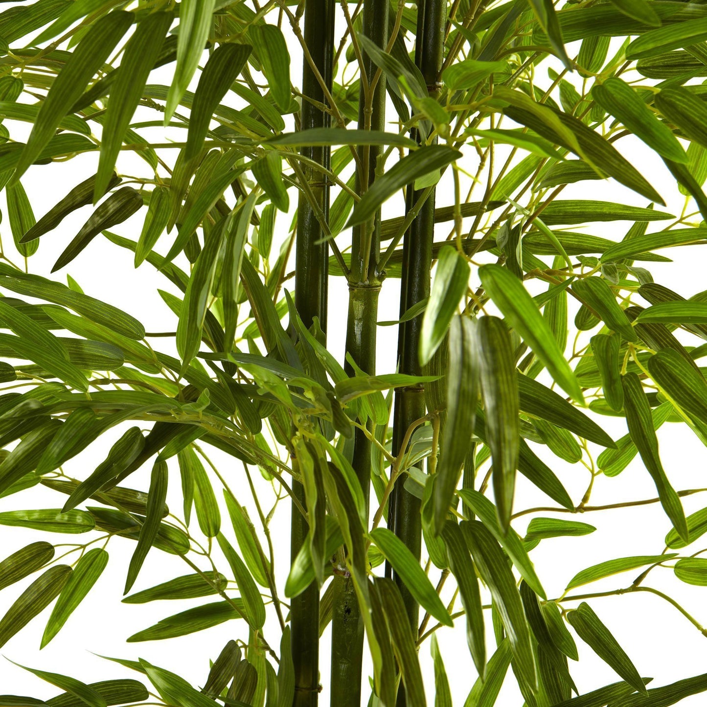 6' Bamboo Tree UV Resistant (Indoor/Outdoor) | Nearly Natural