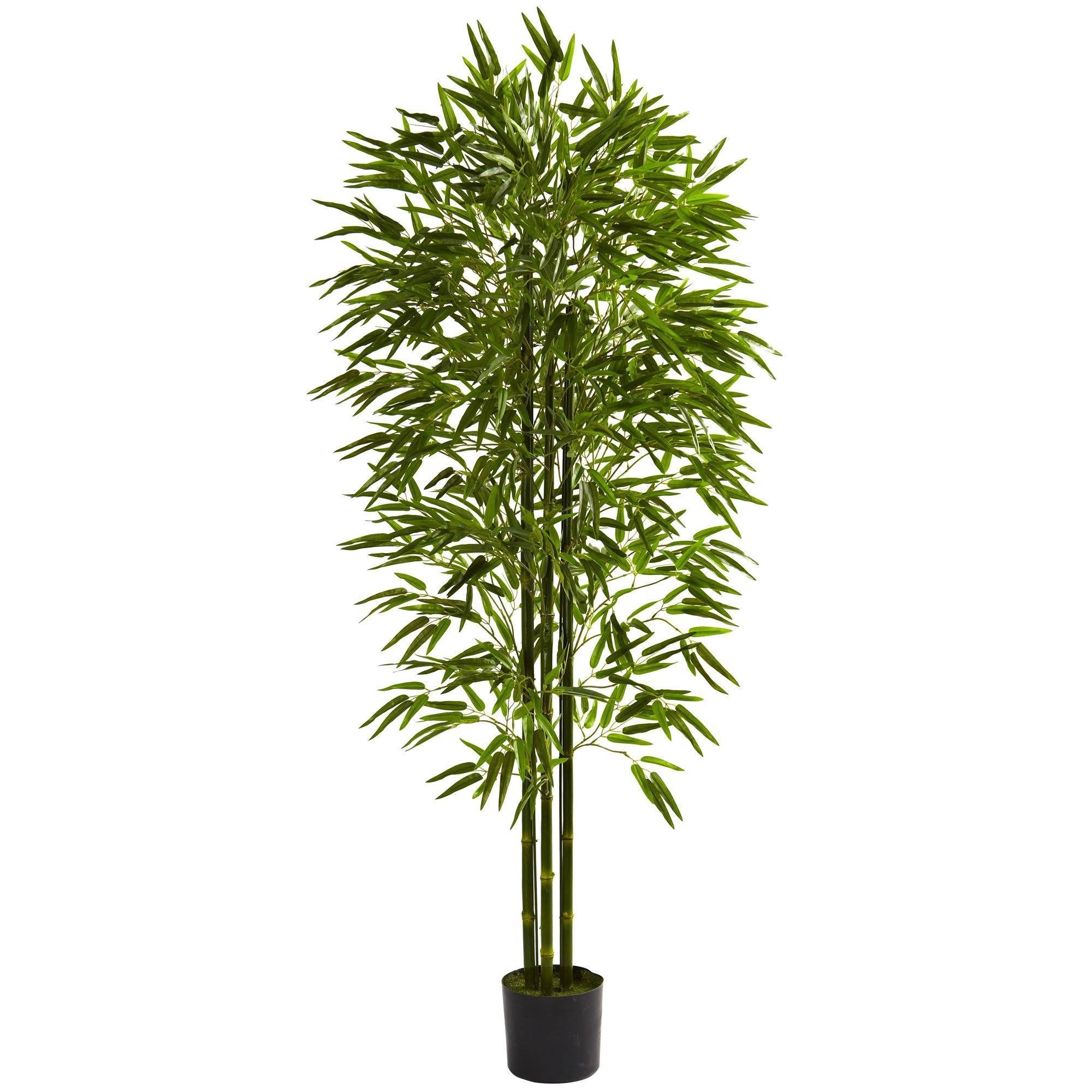 6' Bamboo Tree UV Resistant (Indoor/Outdoor) | Nearly Natural