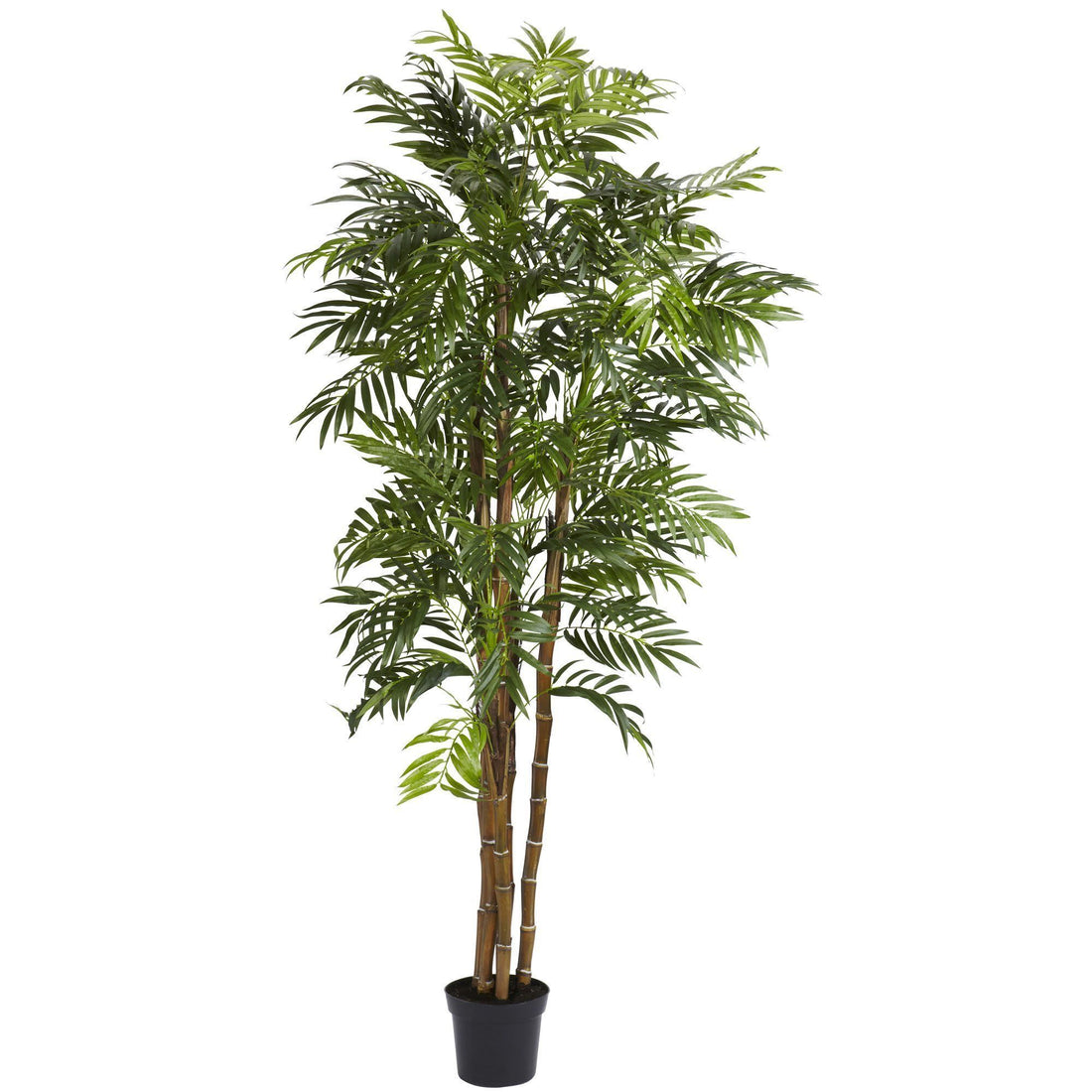 6' Bella Palm Silk Tree | Nearly Natural