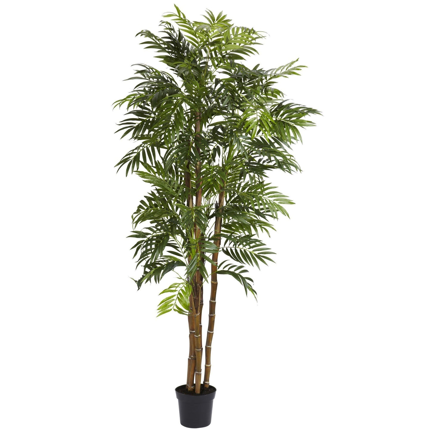 6' Bella Palm Silk Tree | Nearly Natural