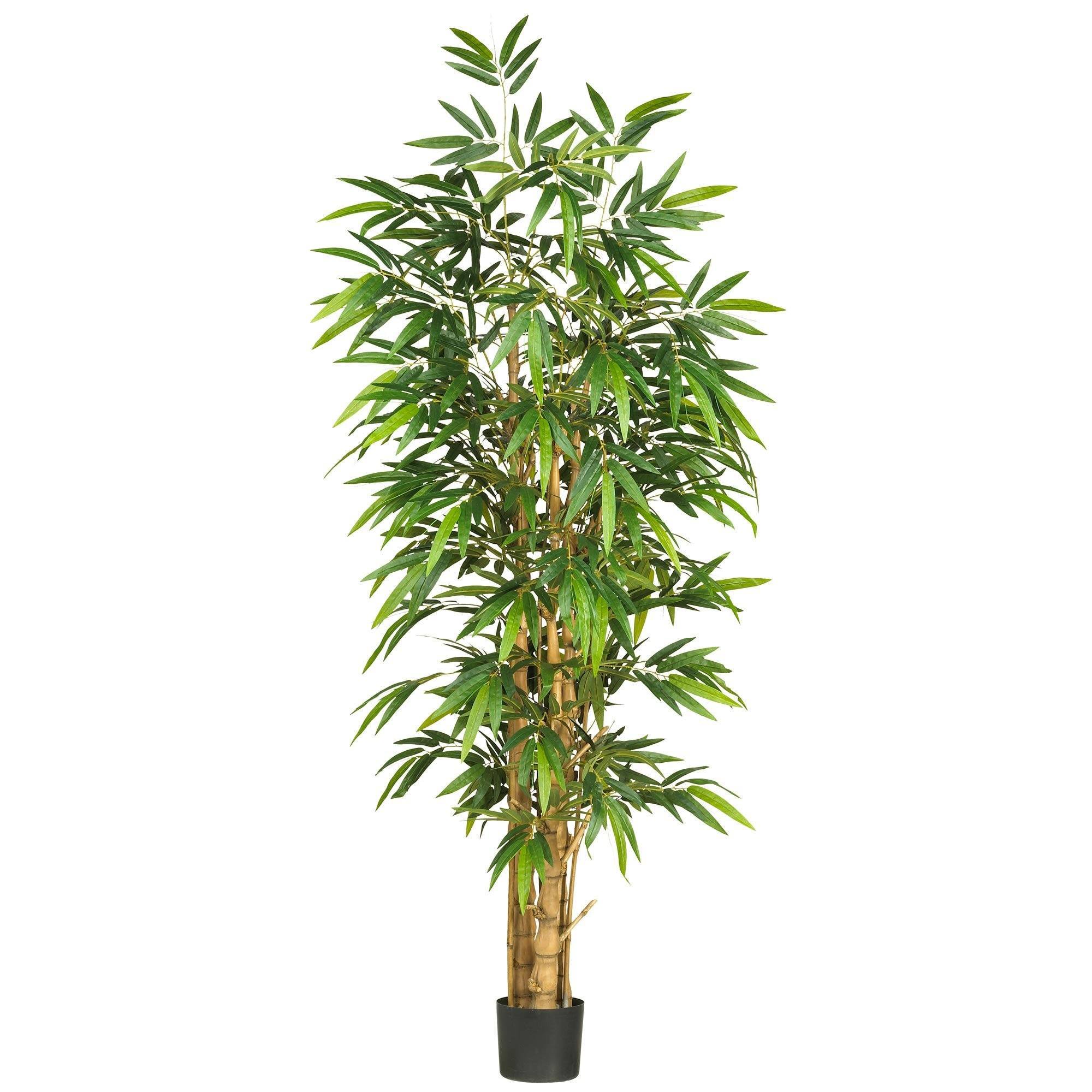 6' Belly Bamboo Silk Tree | Nearly Natural