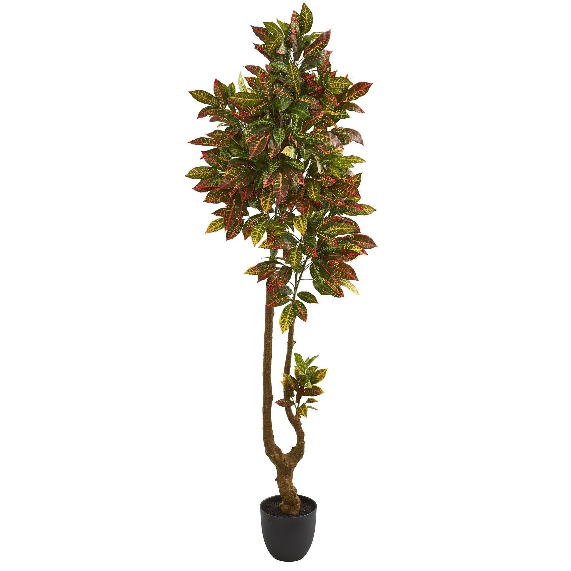 6’ Croton Artificial Tree | Nearly Natural