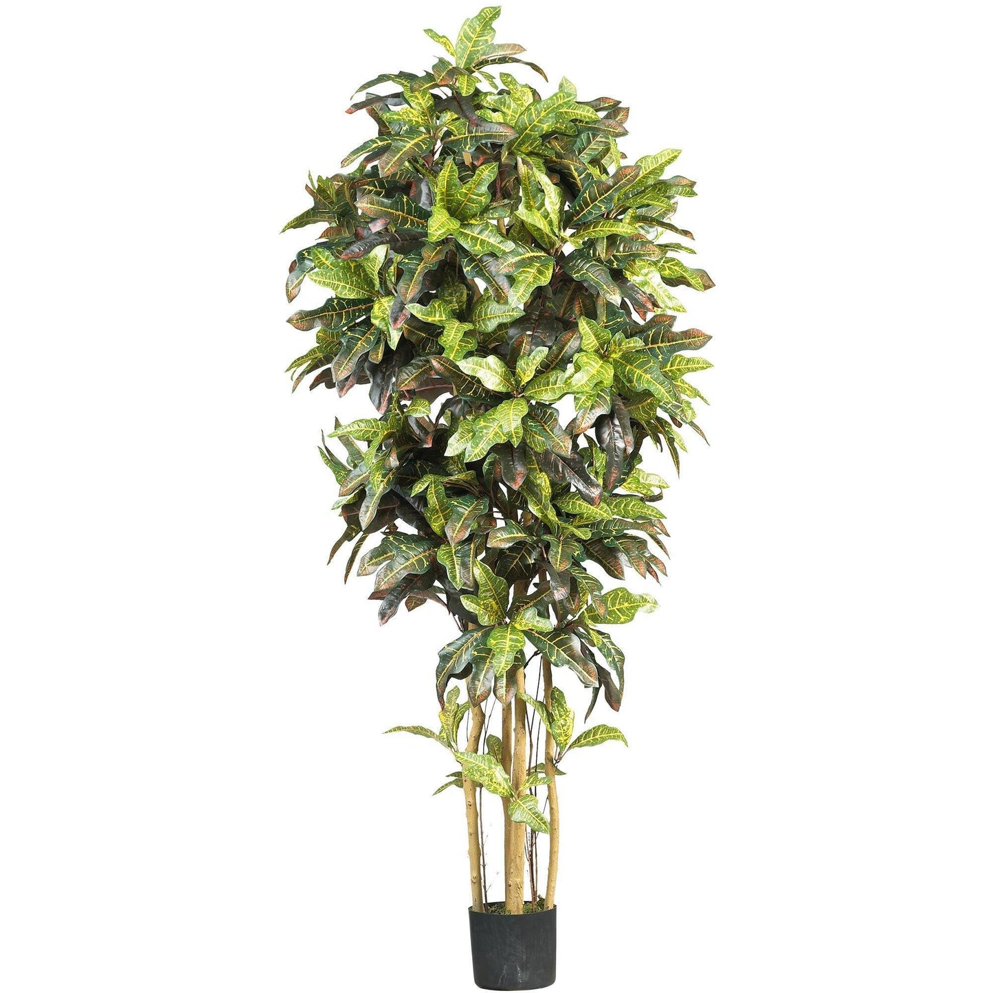 6' Croton Silk Tree | Nearly Natural