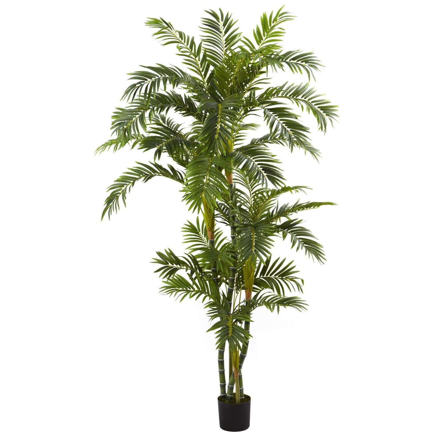 6’ Curvy Parlor Palm Silk Tree | Nearly Natural