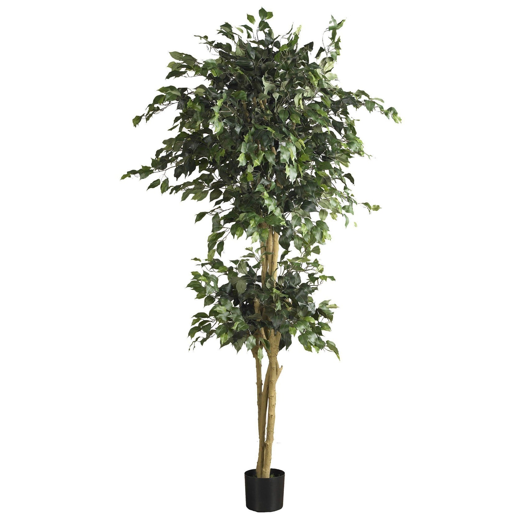 6' Double Ball Ficus Silk Tree | Nearly Natural