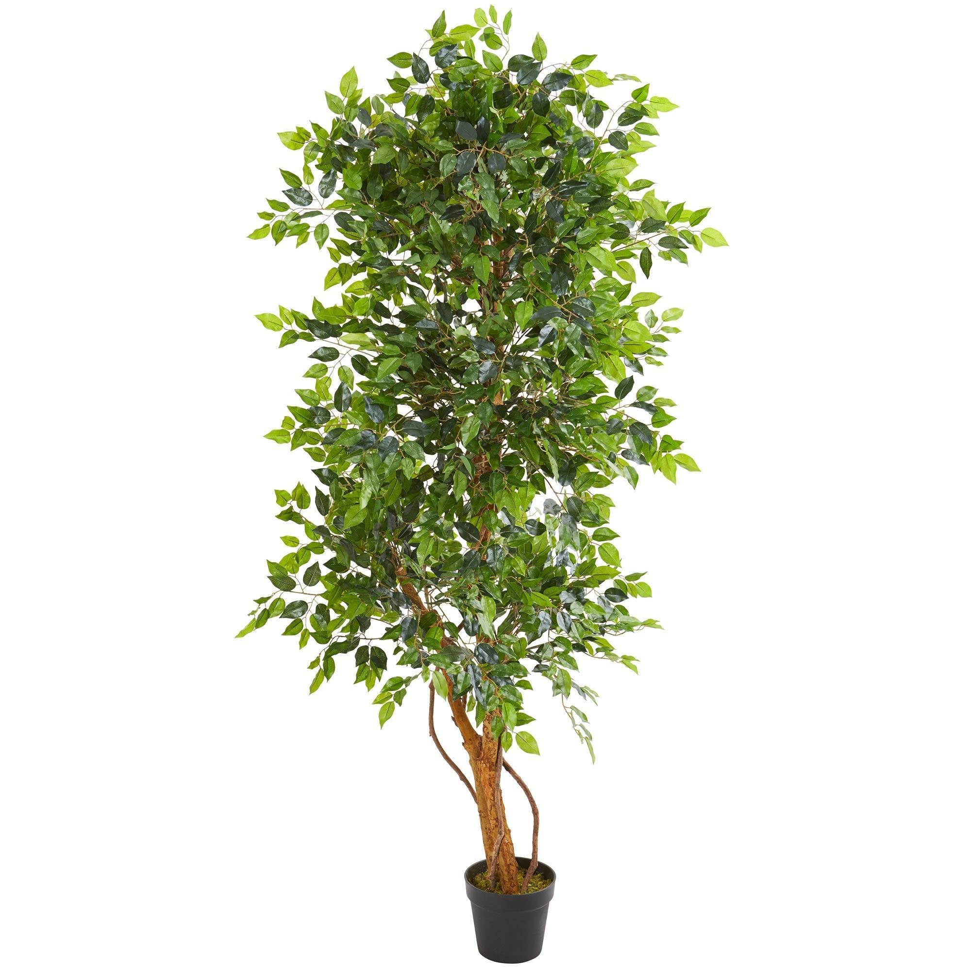 6’ Elegant Ficus Artificial Tree | Nearly Natural
