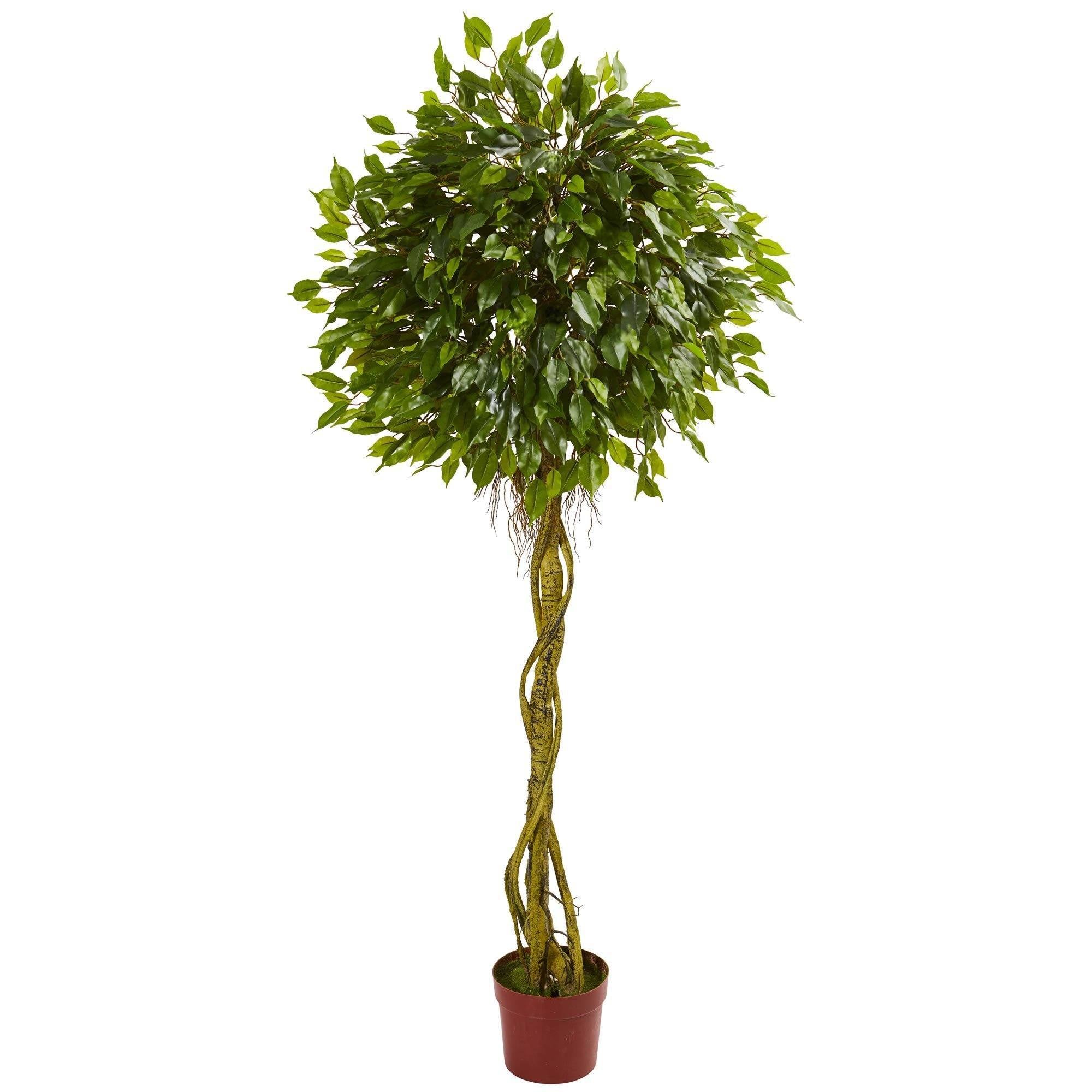 6' Ficus Artificial Topiary Tree UV Resistant (Indoor/Outdoor) | Nearly ...