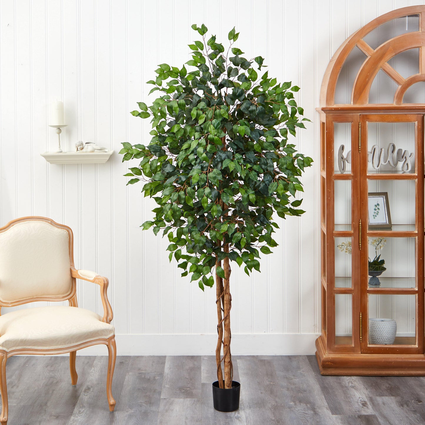 6' Ficus Silk Tree | Nearly Natural