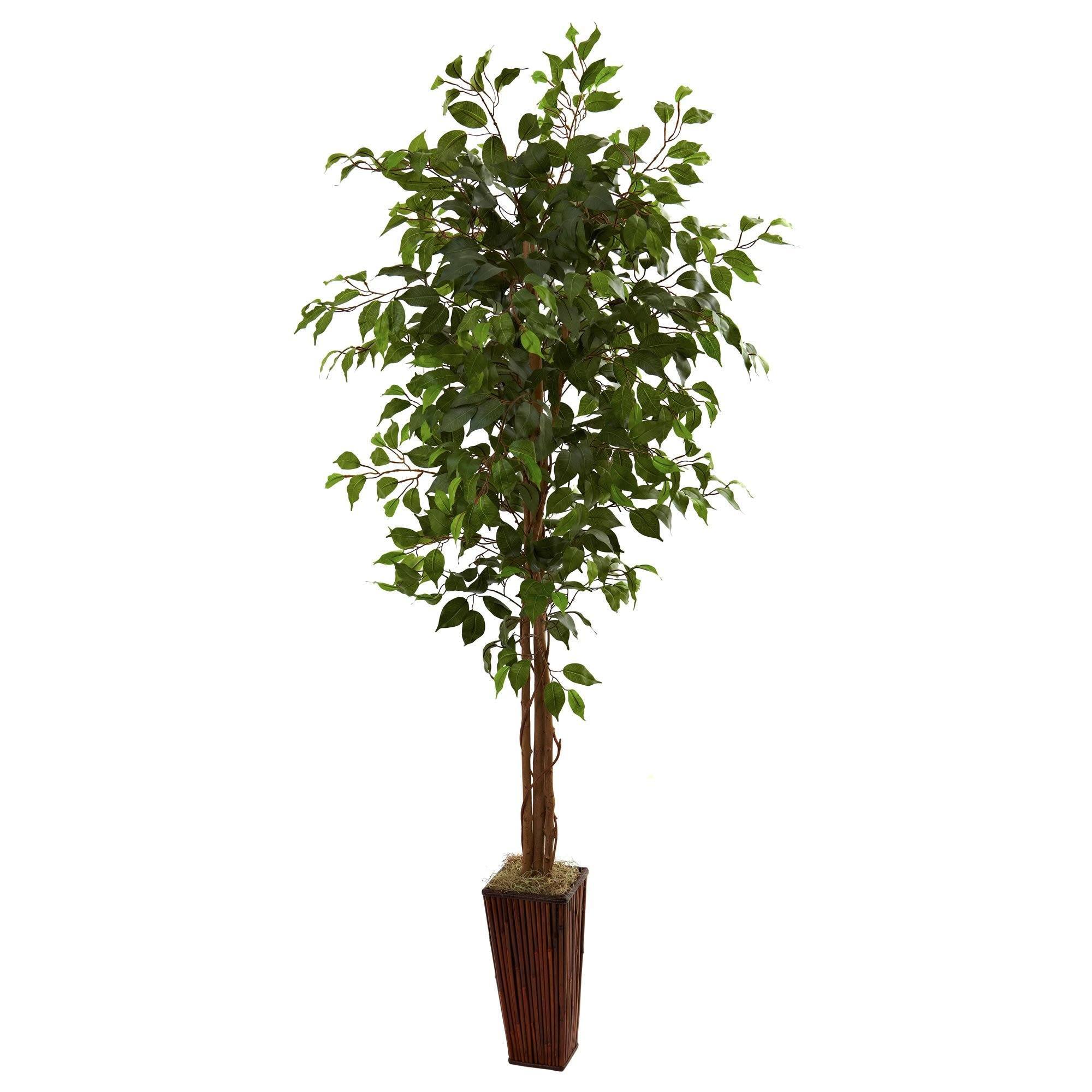 6' Ficus Tree w/Bamboo Planter | Nearly Natural