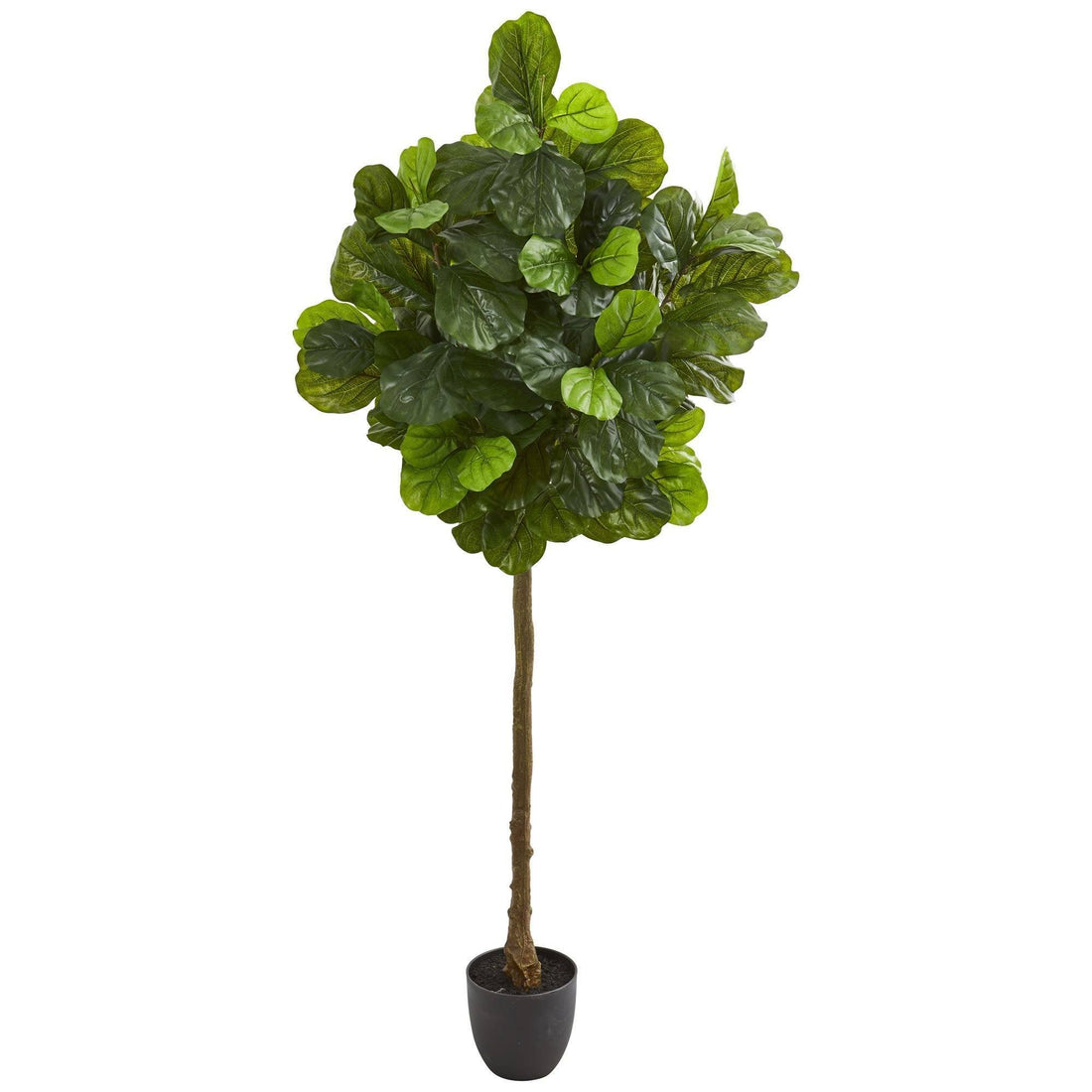 6’ Fiddle Leaf Artificial Tree (Real Touch) | Nearly Natural