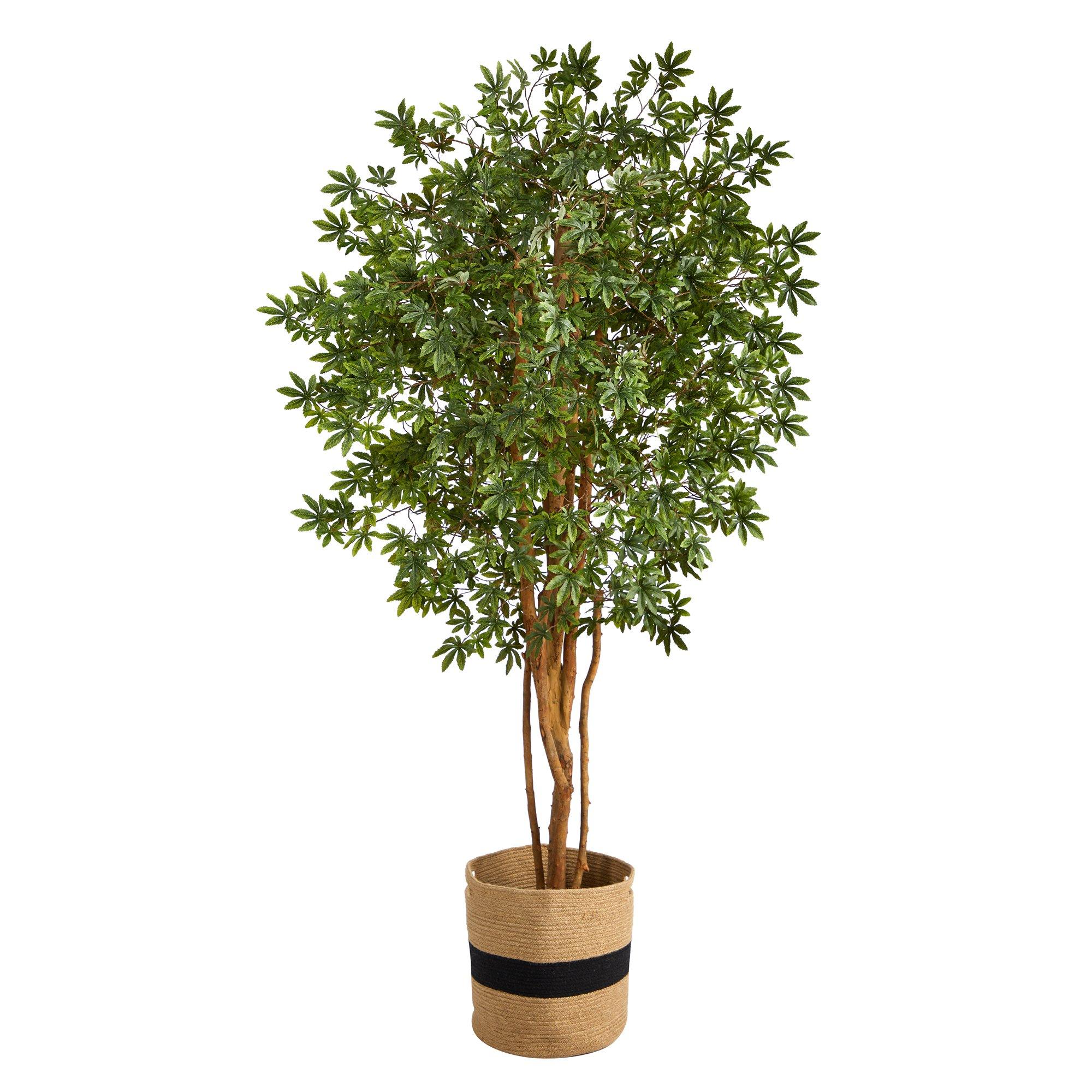 6’ Japanese Maple Artificial Tree in Handmade Natural Cotton Planter ...