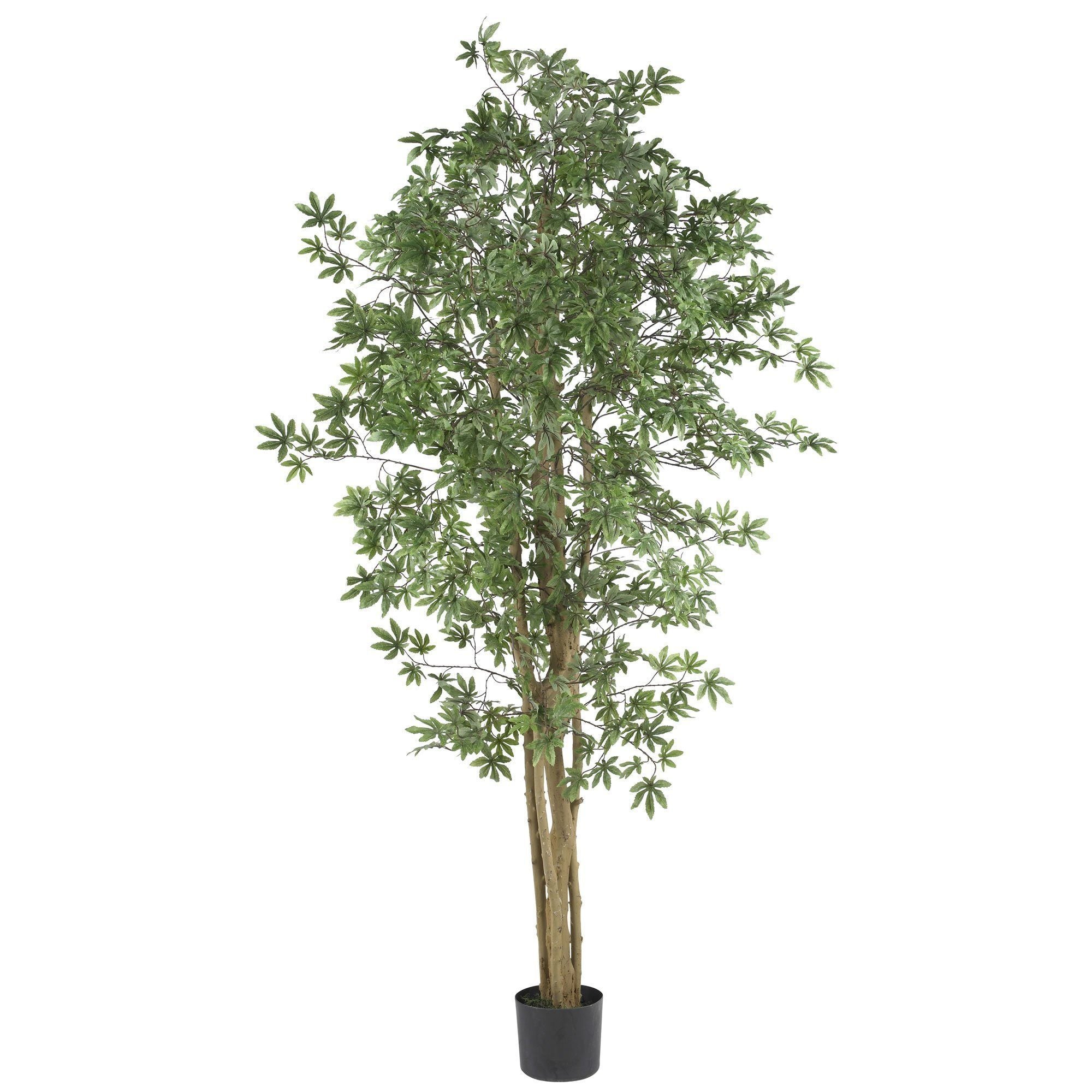 6' Japanese Maple Silk Tree | Nearly Natural