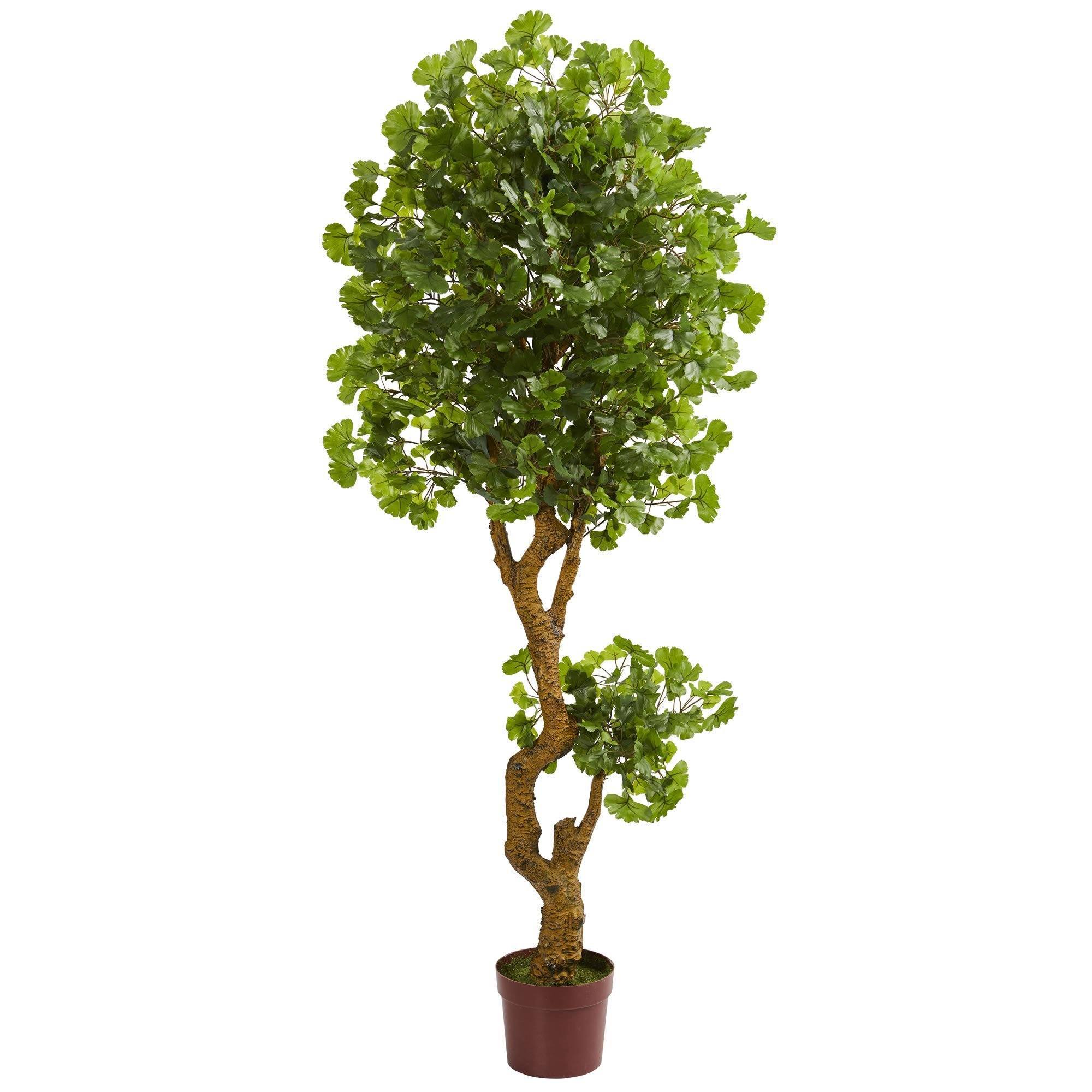 6’ Jingo Artificial Tree UV Resistant (Indoor/Outdoor) | Nearly Natural