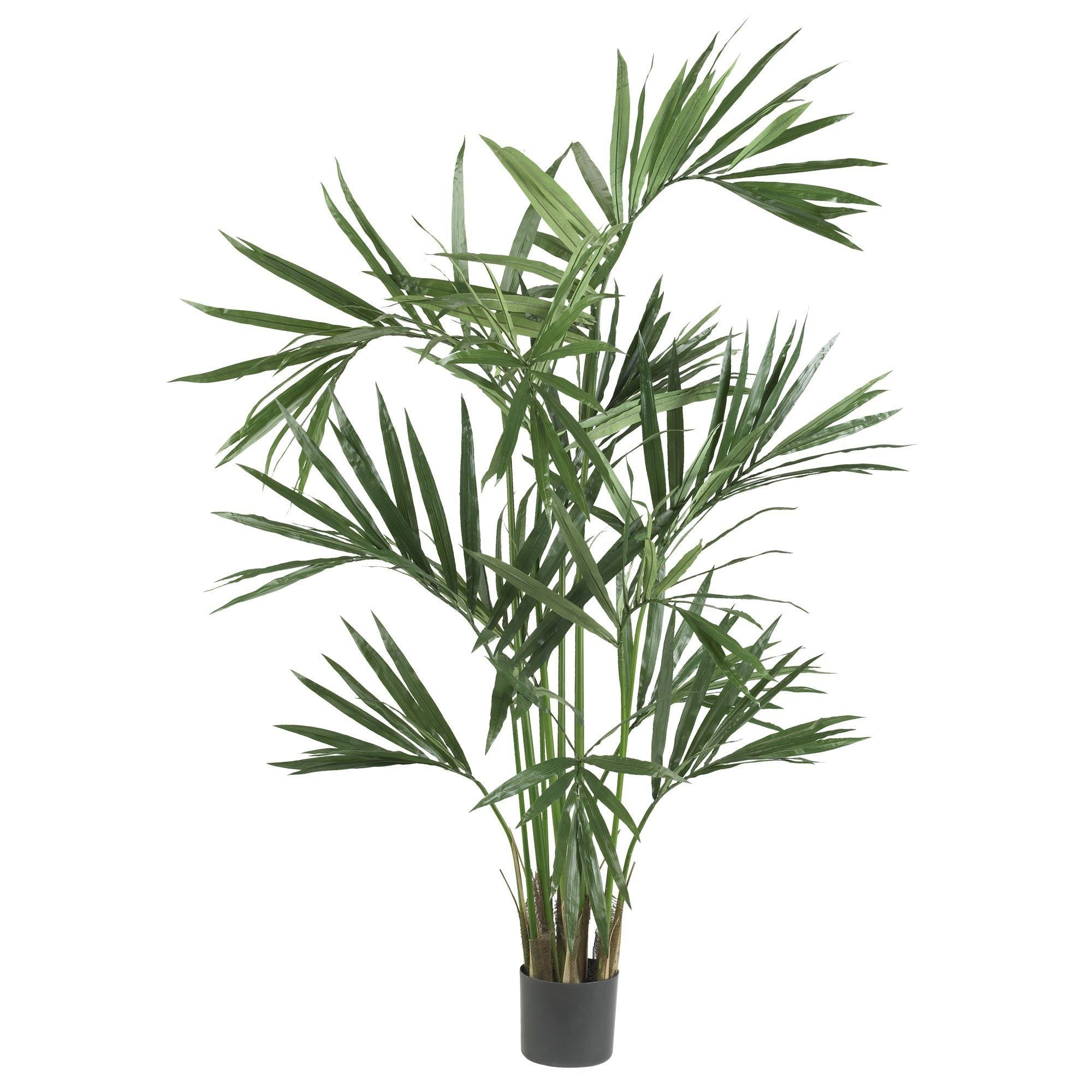 6' Kentia Palm Silk Tree | Nearly Natural