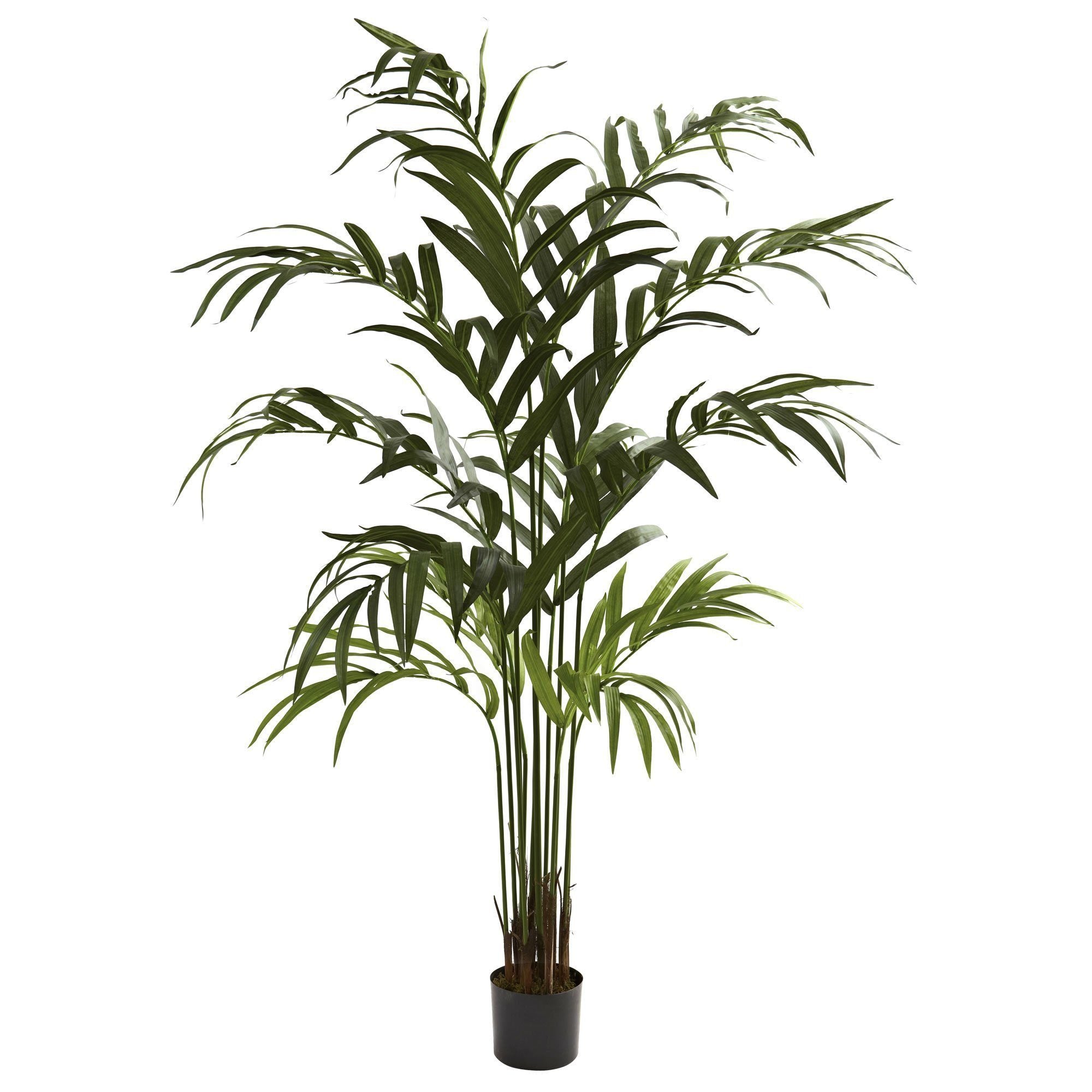 6’ Kentia Palm Tree | Nearly Natural