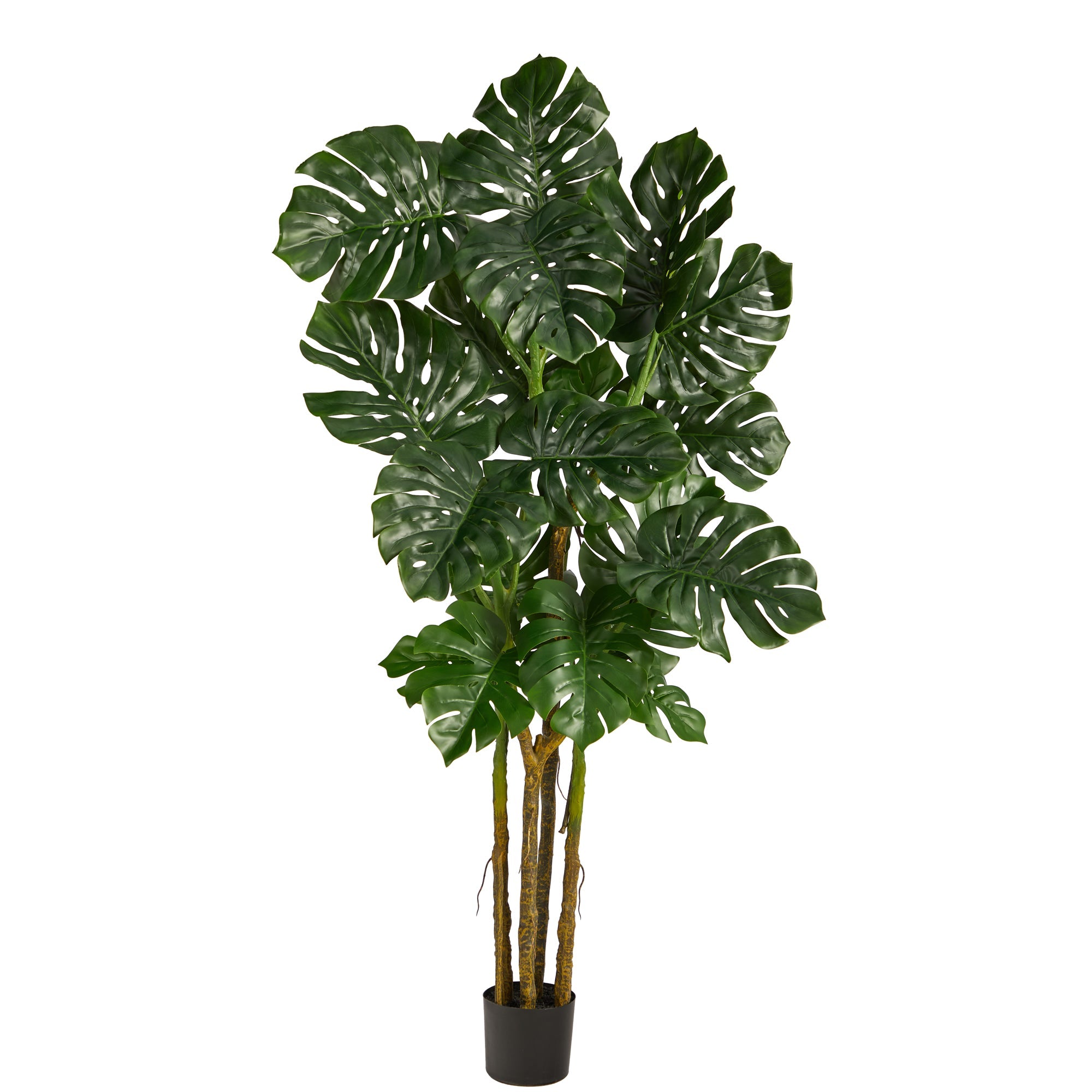 6’ Monstera Tree Artificial | Nearly Natural