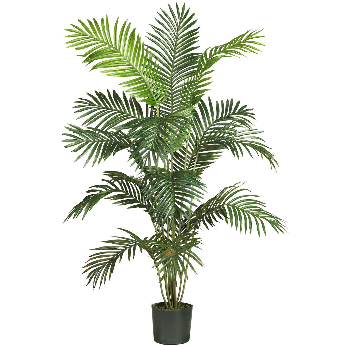 Silk Palm Trees | Artificial Palm Trees | Nearly Natural